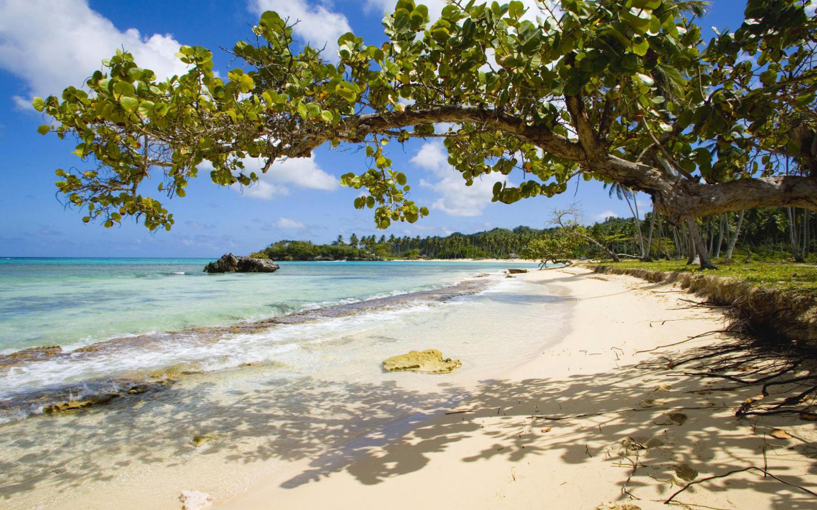 Download Nature Beach Wallpaper