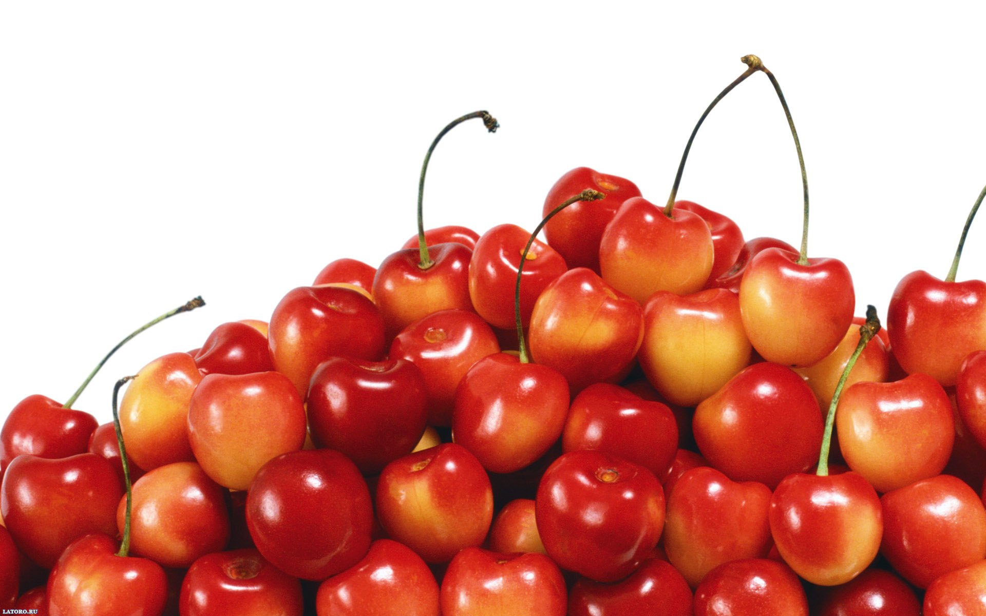 Lush Cherry Delight HD Wallpaper – Fresh & Juicy Food Art