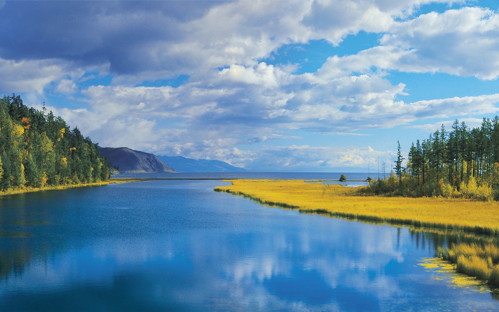 Serene River Landscape HD | Nature’s Tranquil Flow | 2560x1600 ...