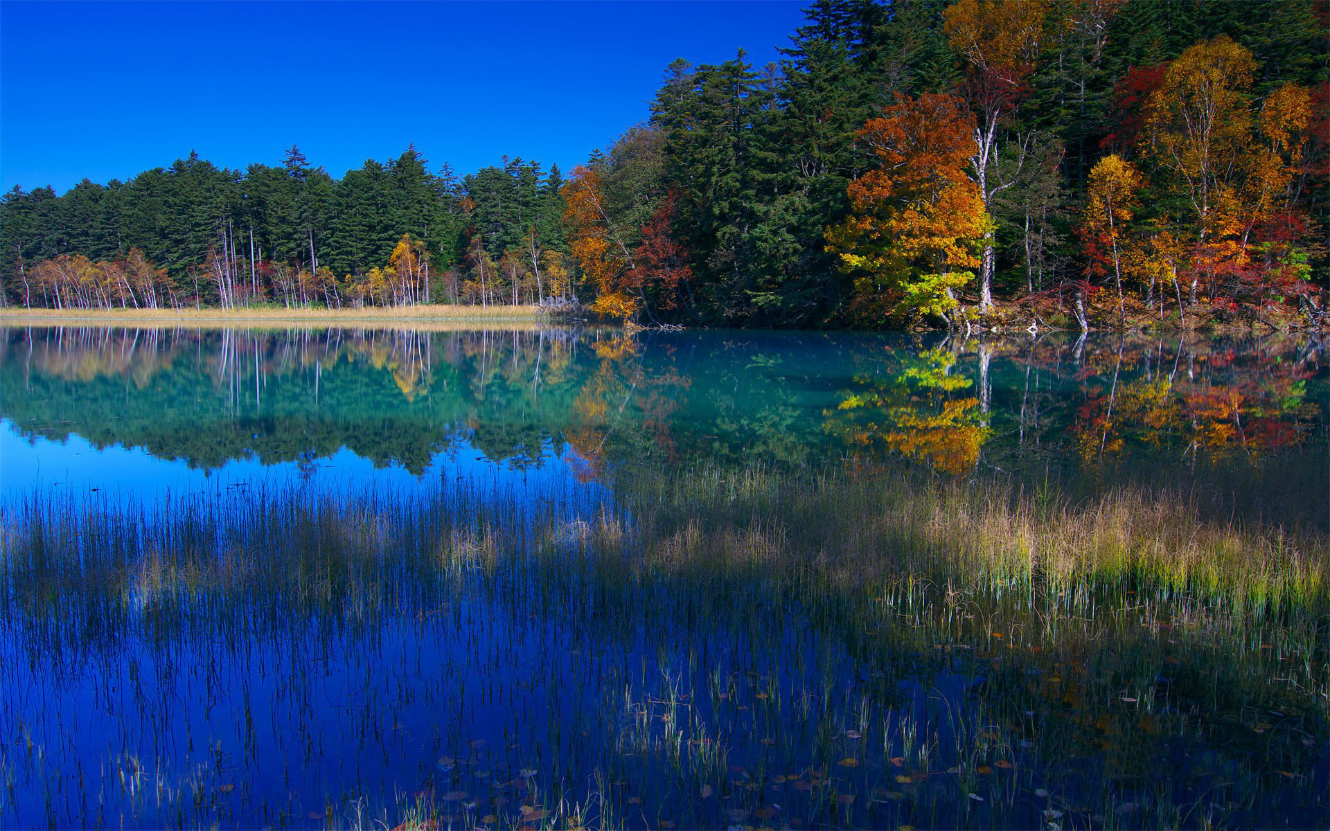 Download Nature Lake HD Wallpaper