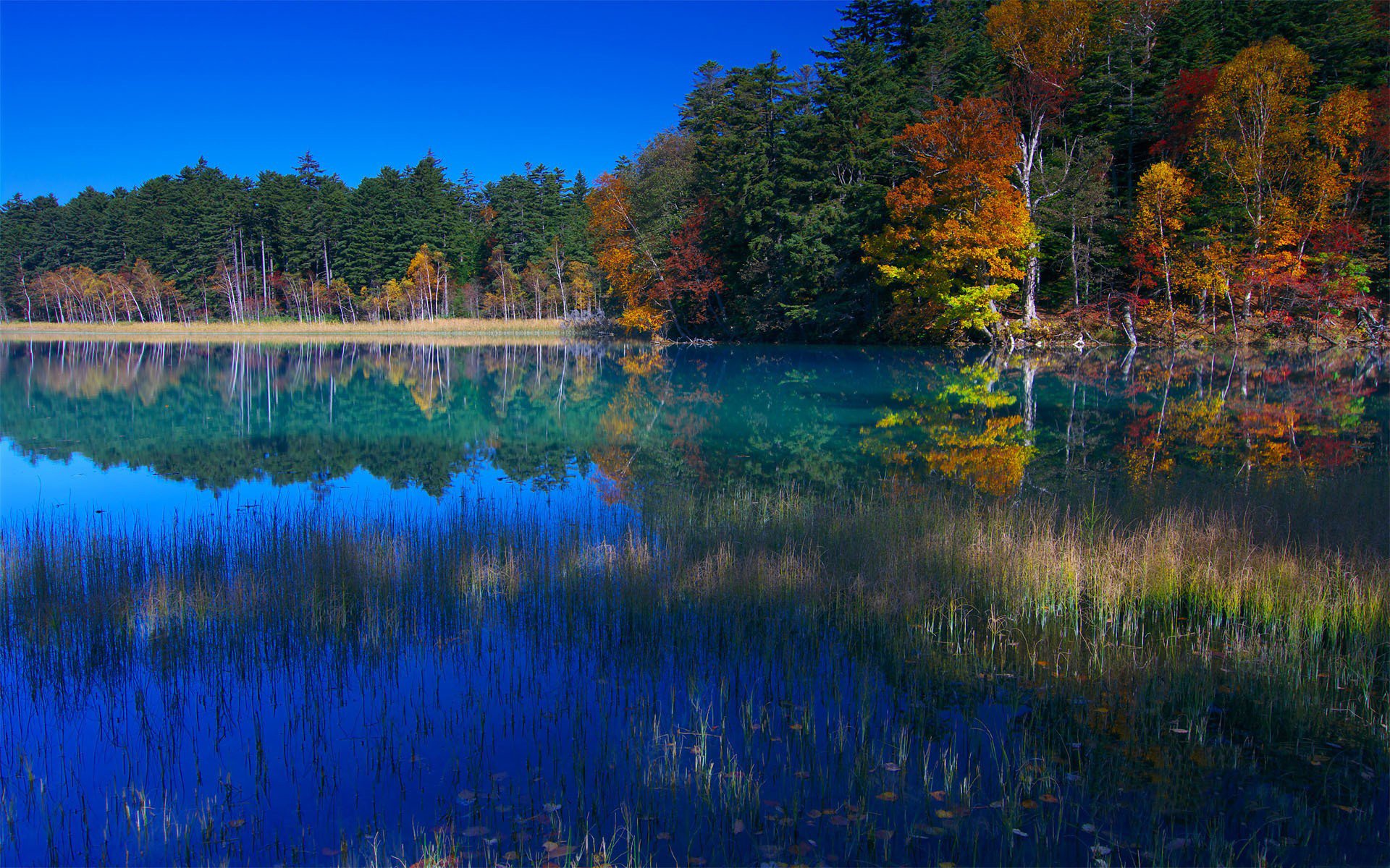 Download Nature Lake HD Wallpaper