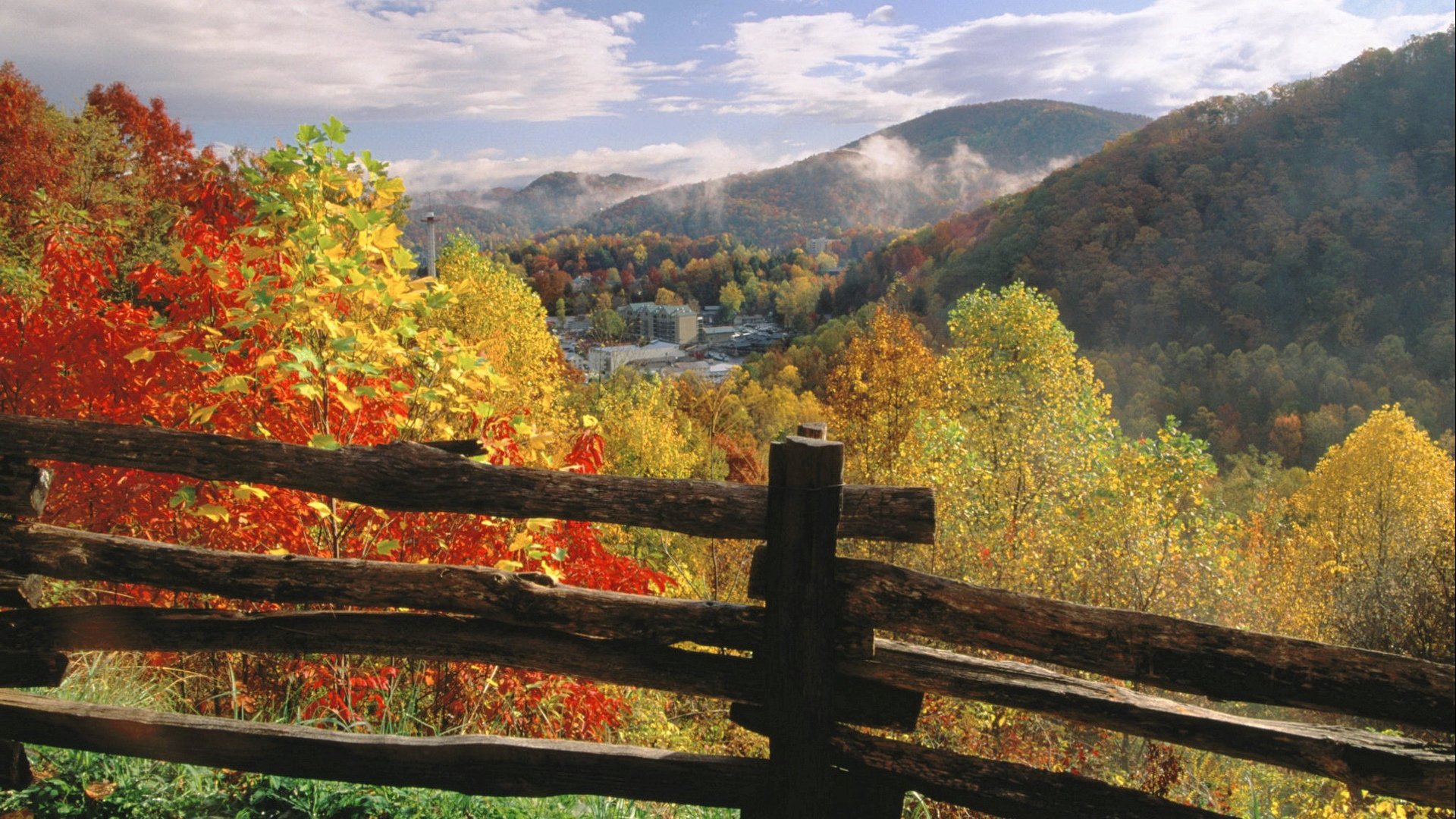 Stunning Fall Photography: HD Wallpaper of Autumn Hillside