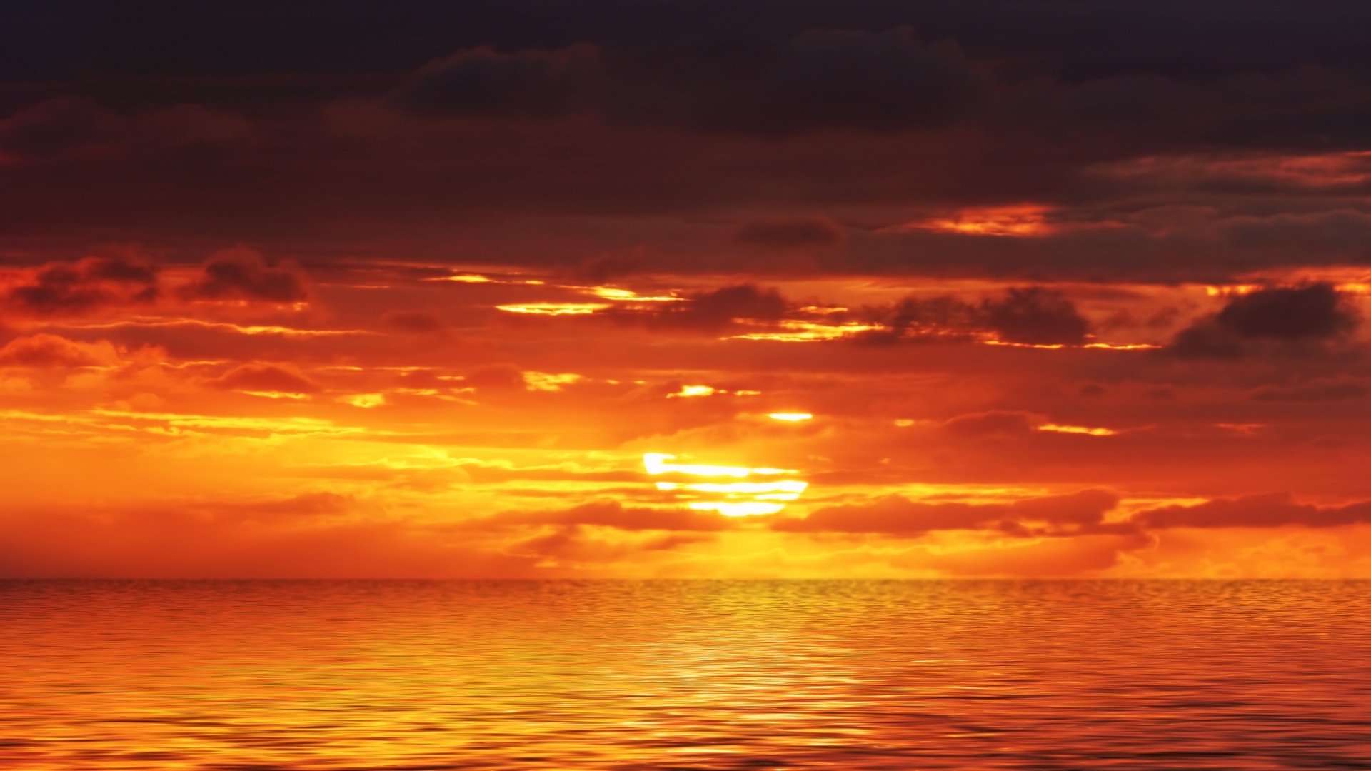 Download Nature Sunset HD Wallpaper