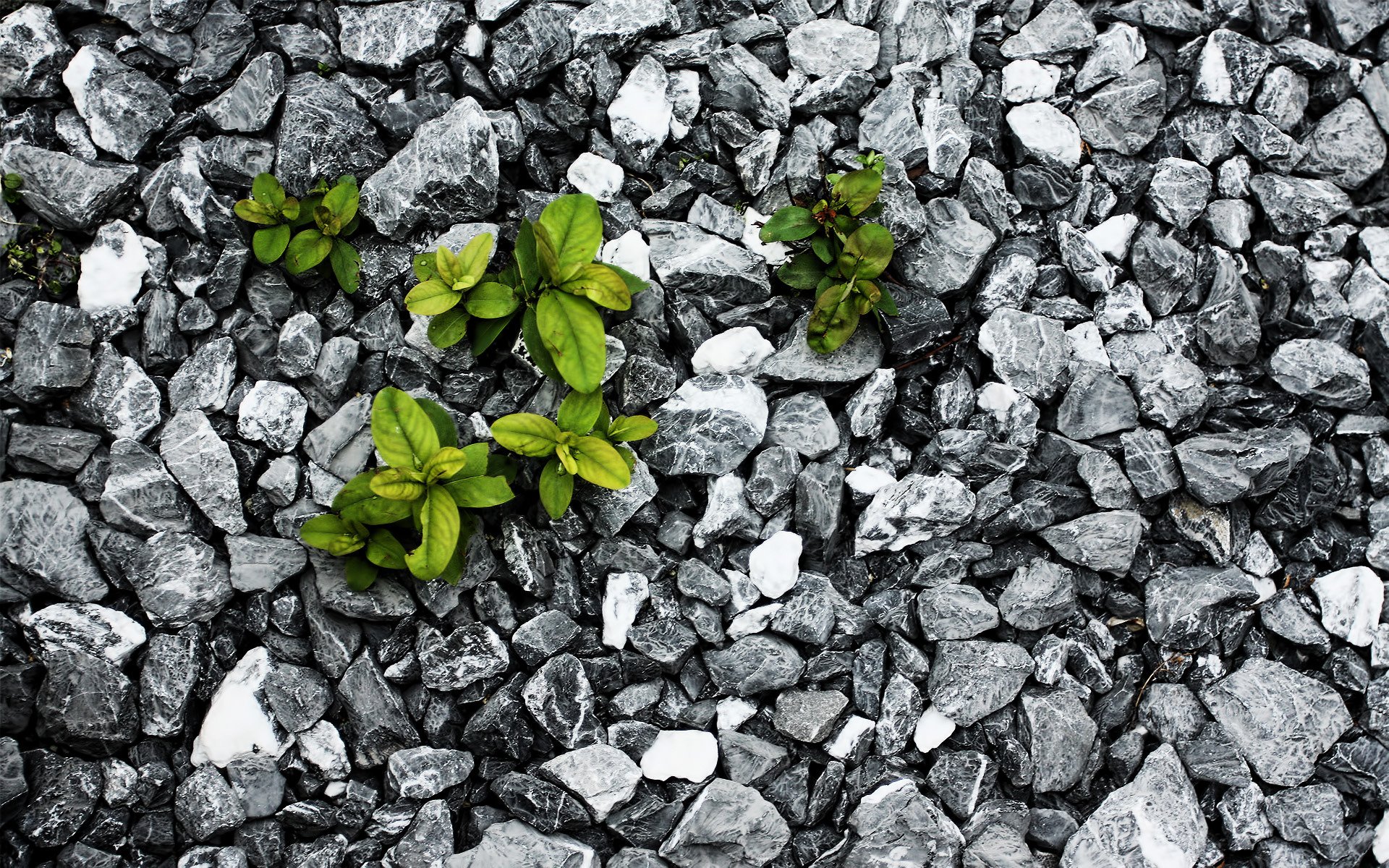 Download Nature Stone HD Wallpaper | 1920x1200 | Wallpaper Abyss
