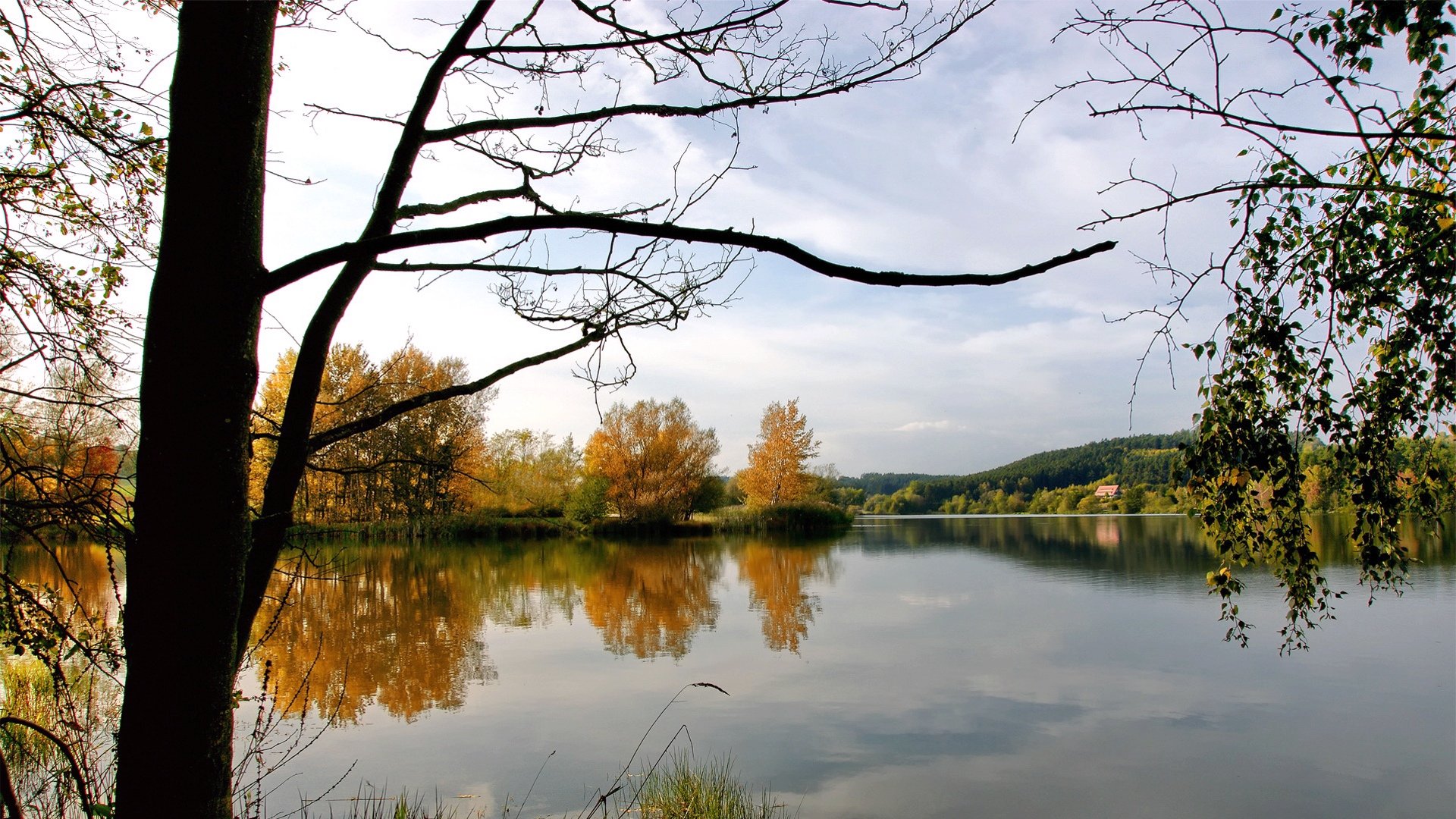 Download Nature River HD Wallpaper | 1920x1080 | Wallpaper Abyss