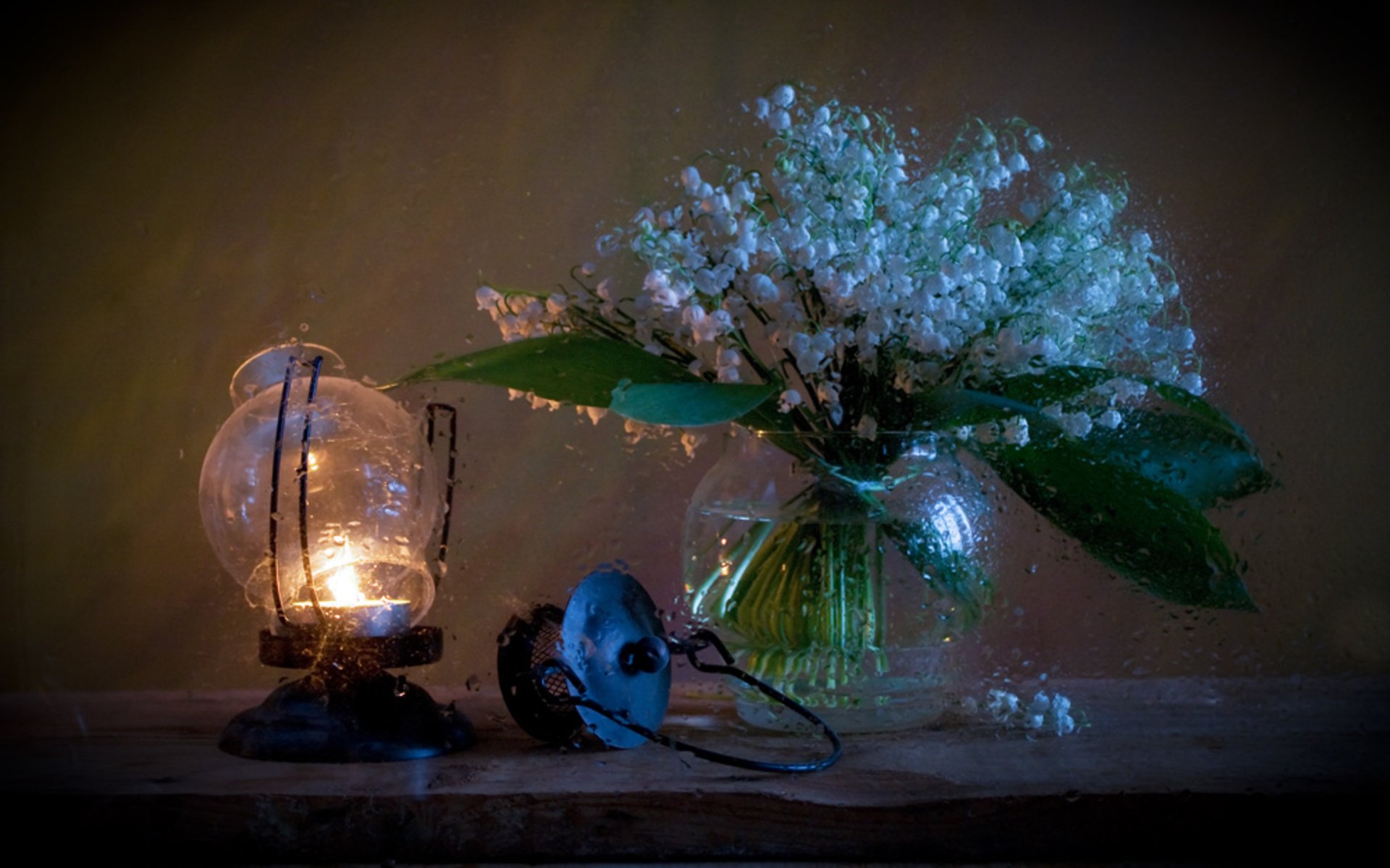 Timeless Still Life: HD Photography of Vintage Lantern and Blossoms