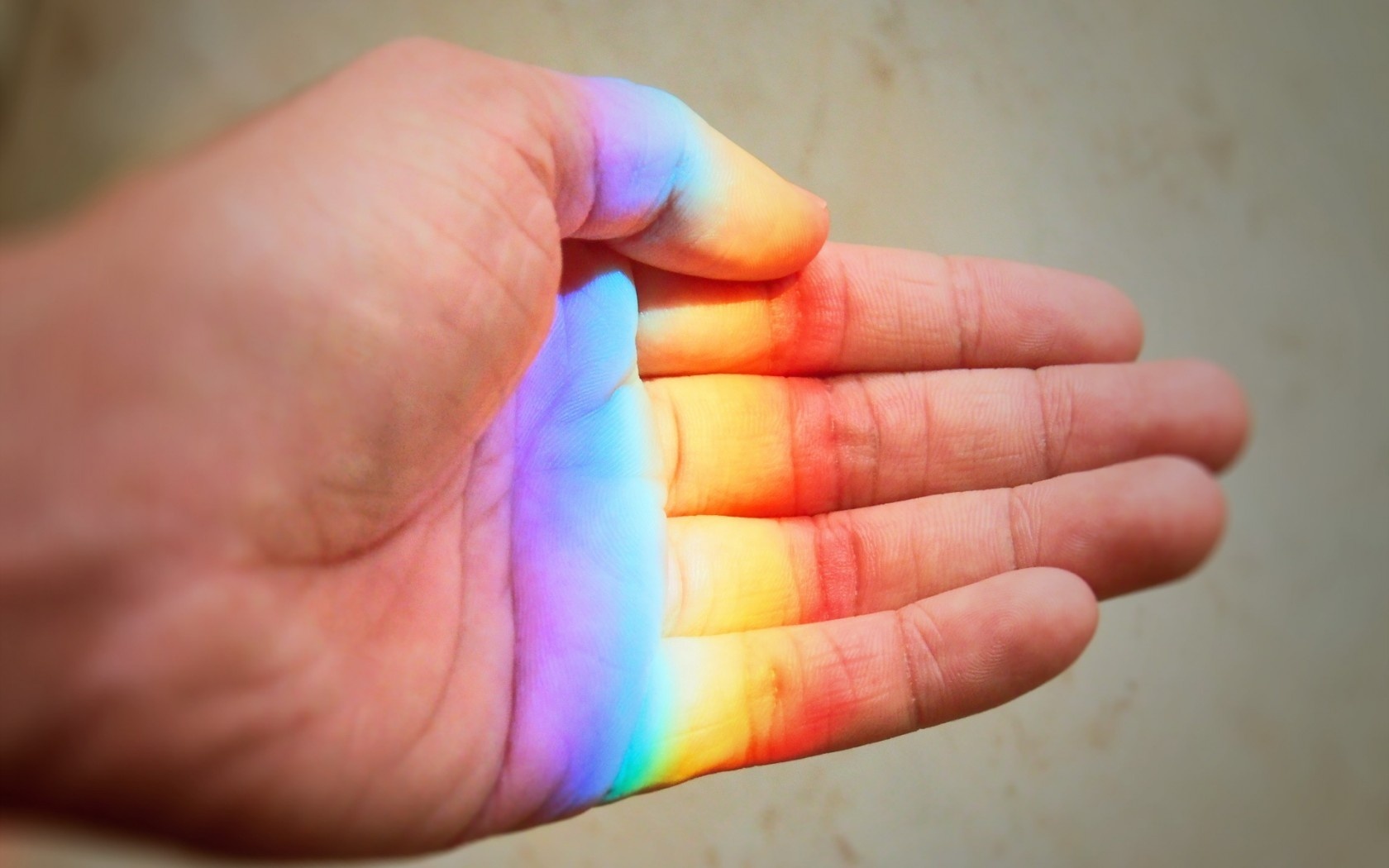 Download Photography Colors Wallpaper