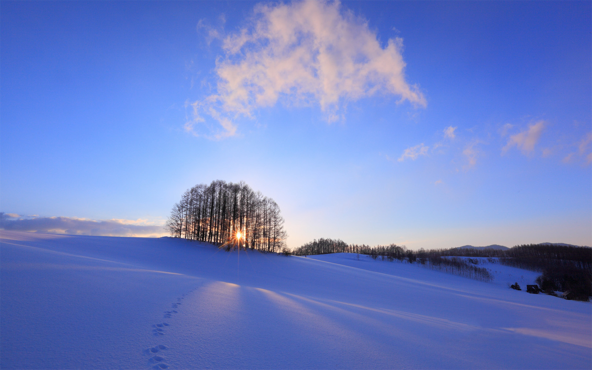 Winter Hdr Wallpapers Hd