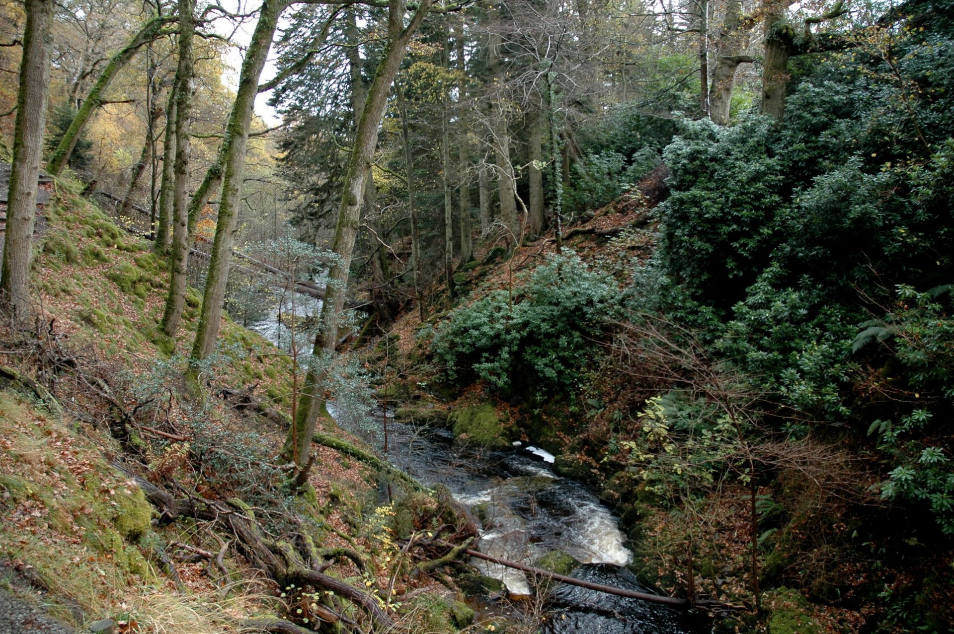 Download Nature Stream HD Wallpaper | 1925x1280 | Wallpaper Abyss