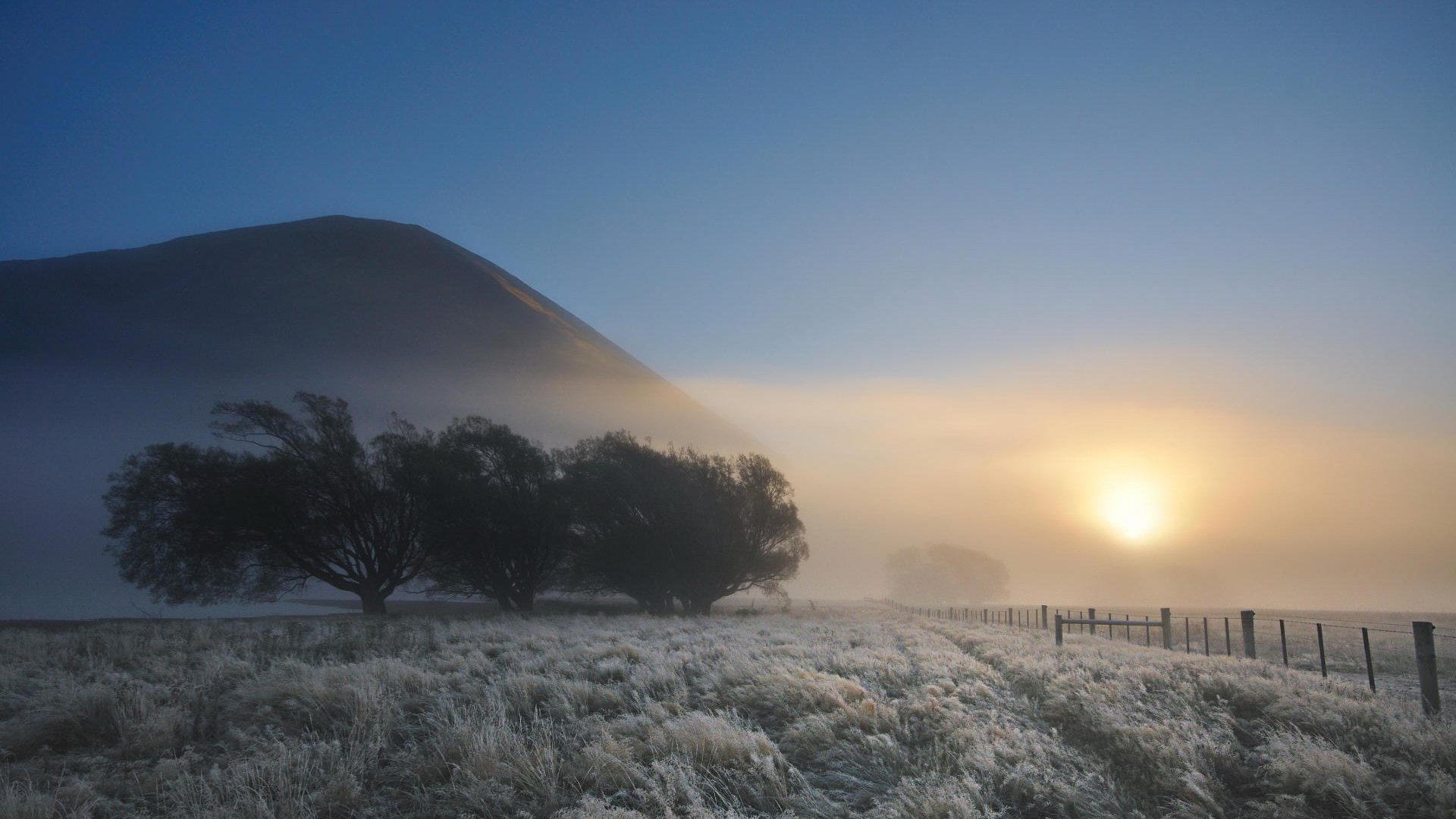 Download Nature Fog HD Wallpaper