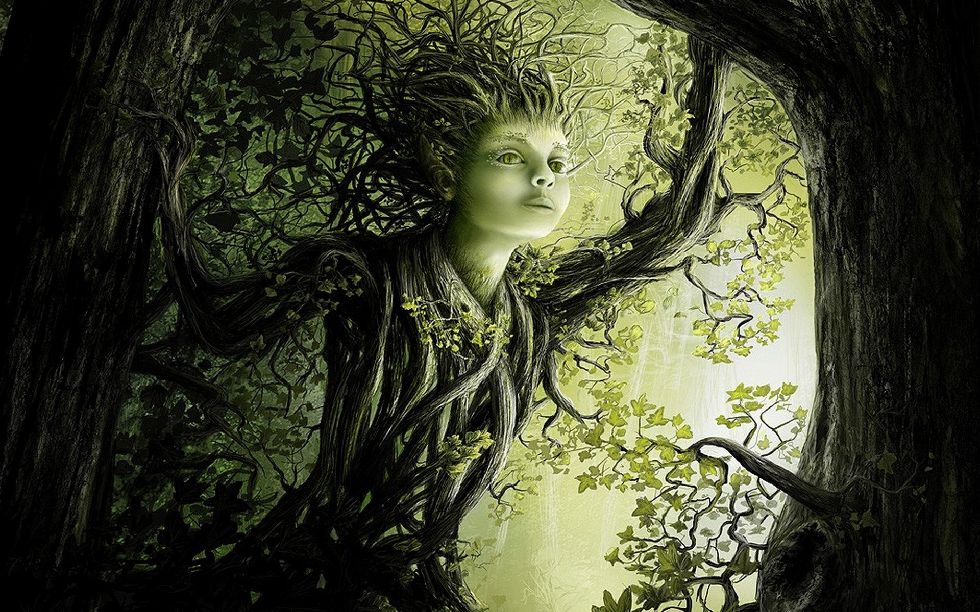 Download Fantasy Sylvan HD Wallpaper
