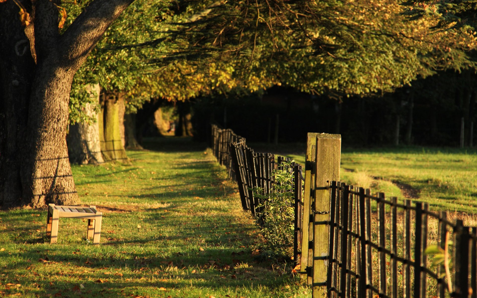 Download Man Made Fence HD Wallpaper