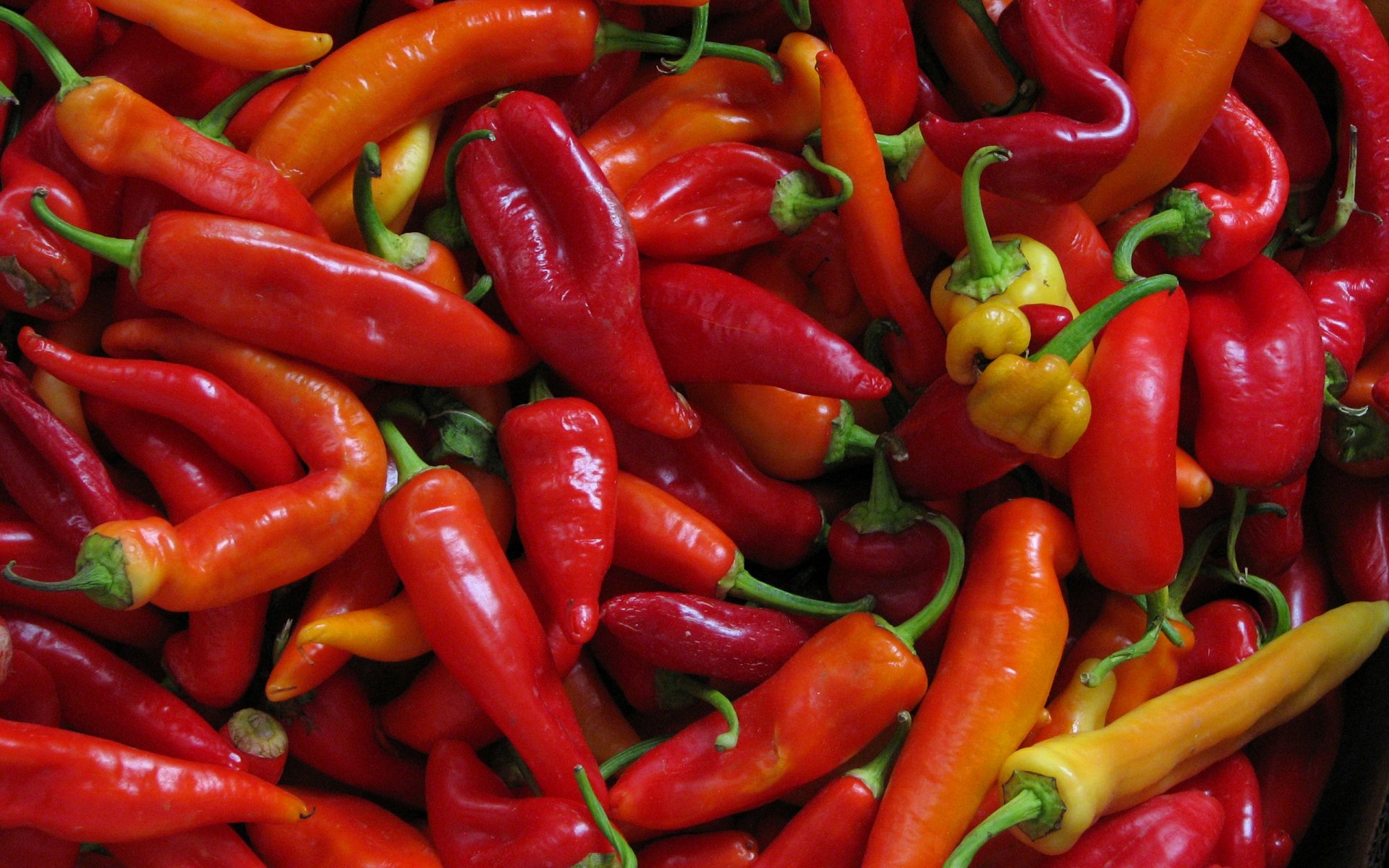 2K Quad HD: Vibrant Pepper Harvest Wallpaper