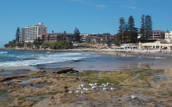 [10+] Cronulla Wallpapers