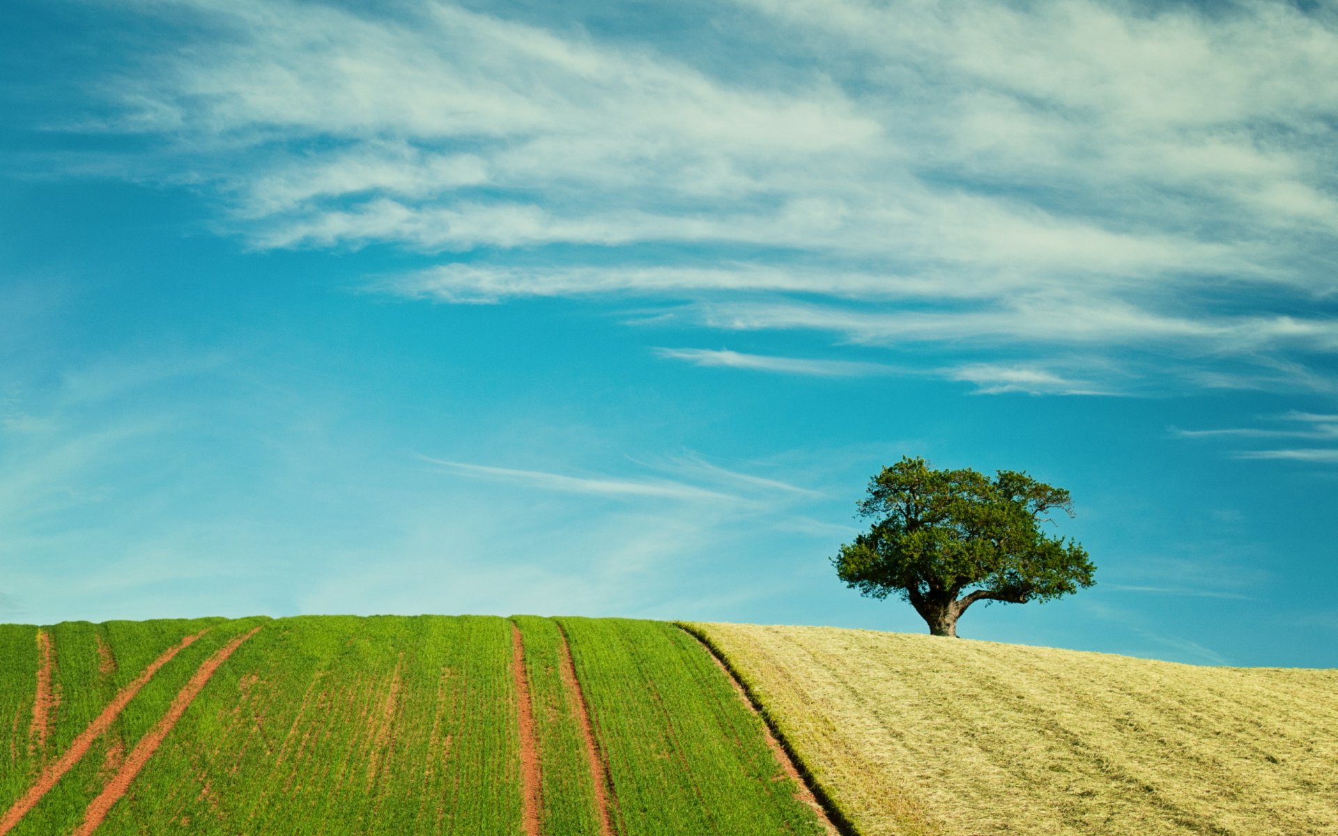 Landscape HD Wallpaper