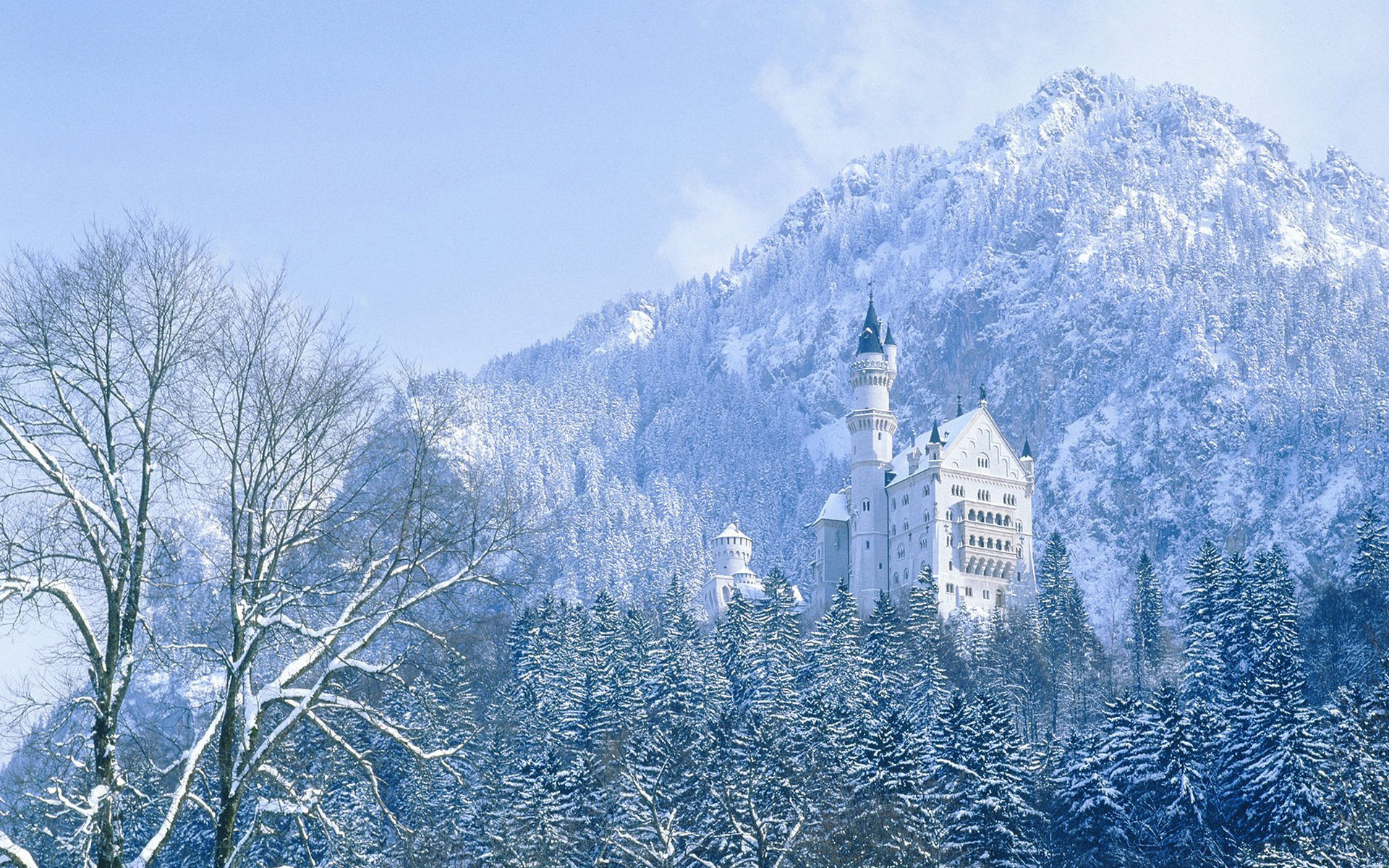 Neuschwanstein Castle in Winter Wonderland – Germany’s Timeless HD Majesty
