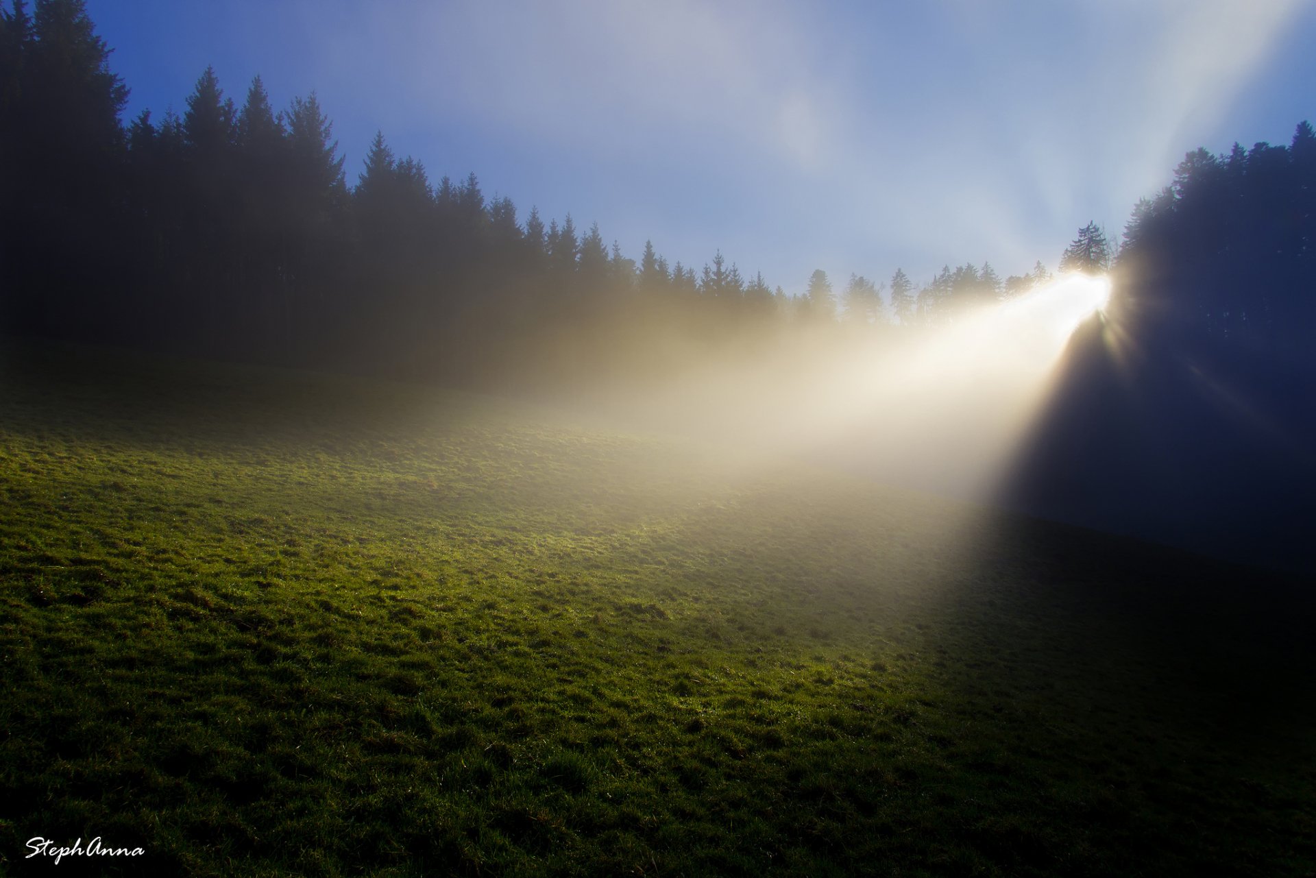 Download Nature Sunbeam HD Wallpaper