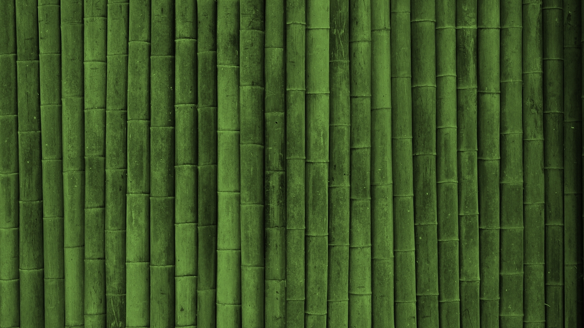 Download Nature Bamboo HD Wallpaper