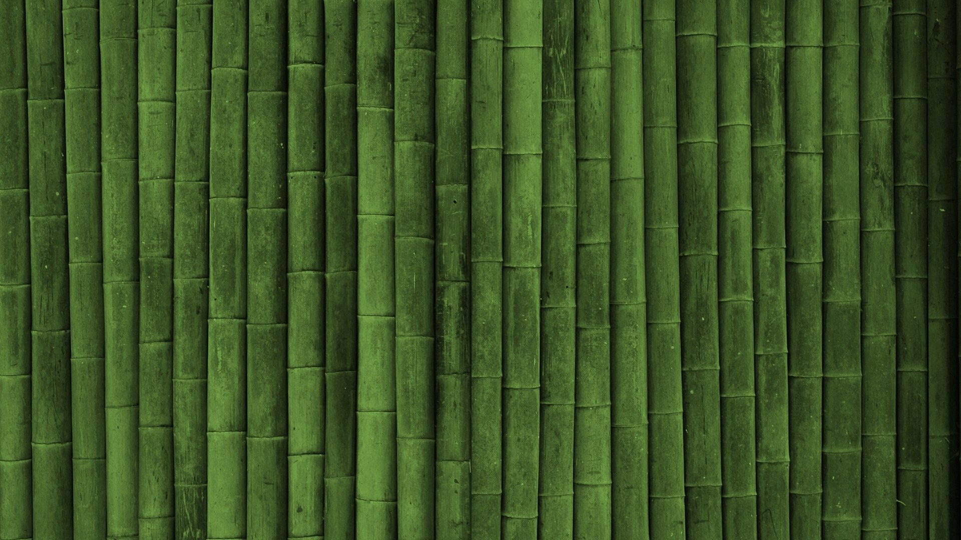 Download Nature Bamboo HD Wallpaper | 1920x1080 | Wallpaper Abyss
