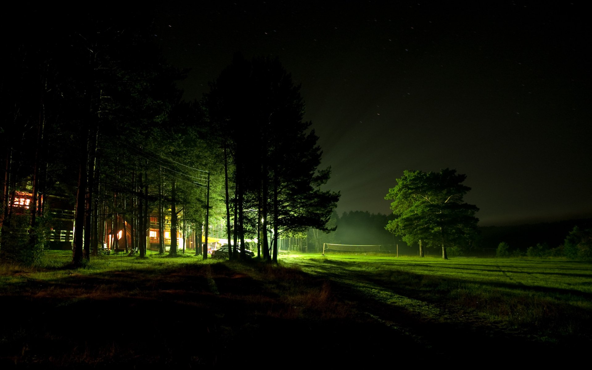 2K Quad‑HD Night Photo — Moonlit Forest Wallpaper | 2560x1600 ...