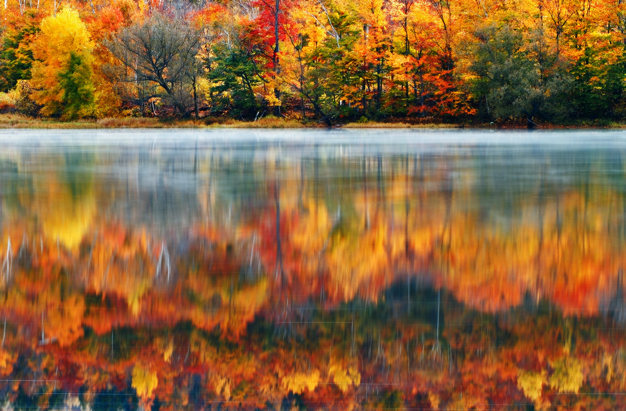 Autumn River Reflections: HD Nature Wallpaper with Fall Leaves