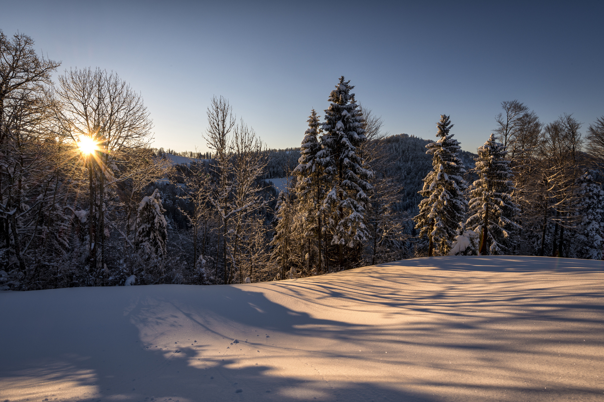 Winter Serenity: HD Nature's Frosty Sunrise Bliss