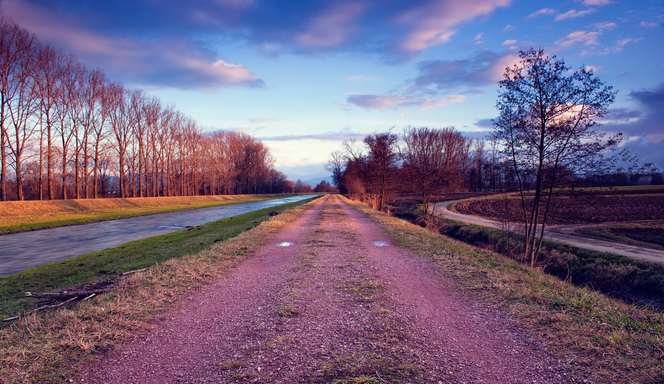 Country Backroad Wallpaper