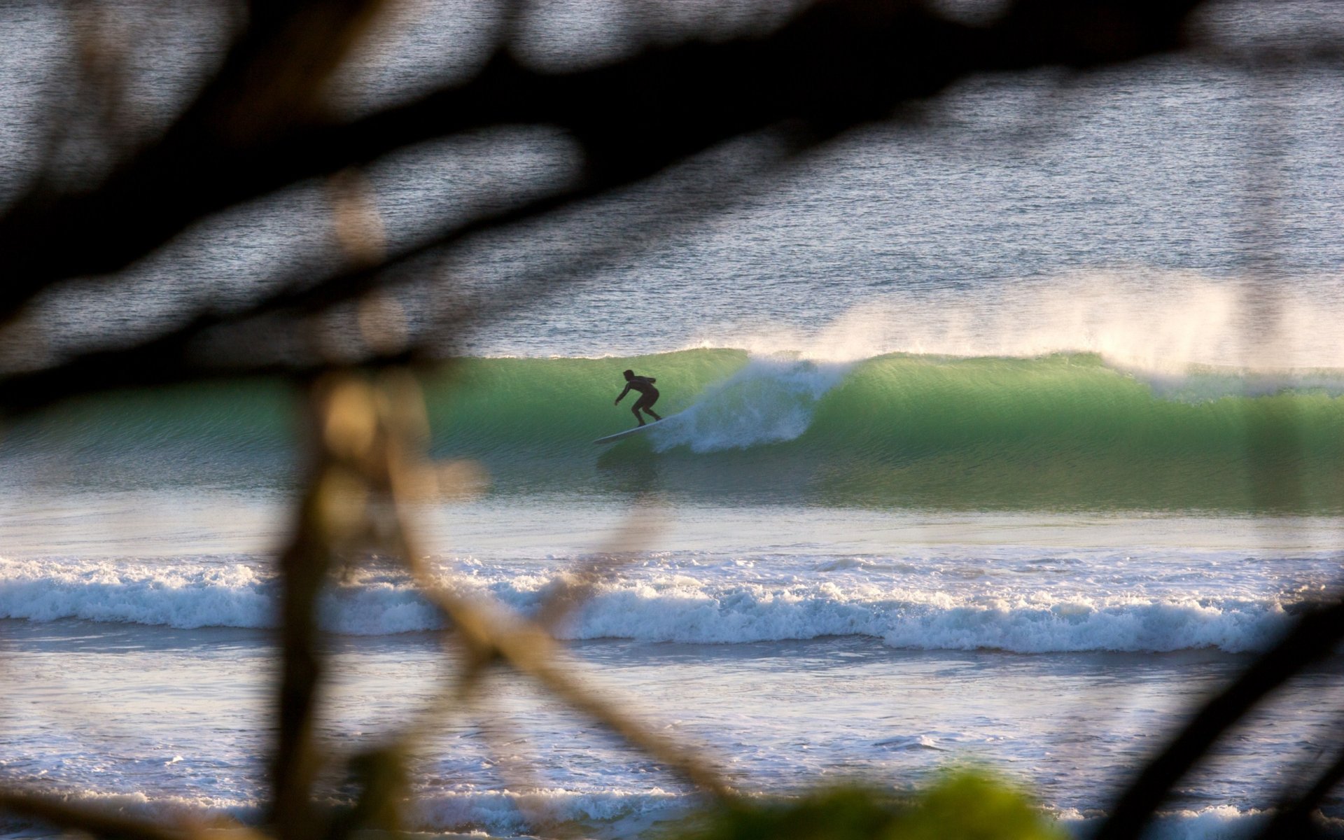 Download Surfing Sports HD Wallpaper