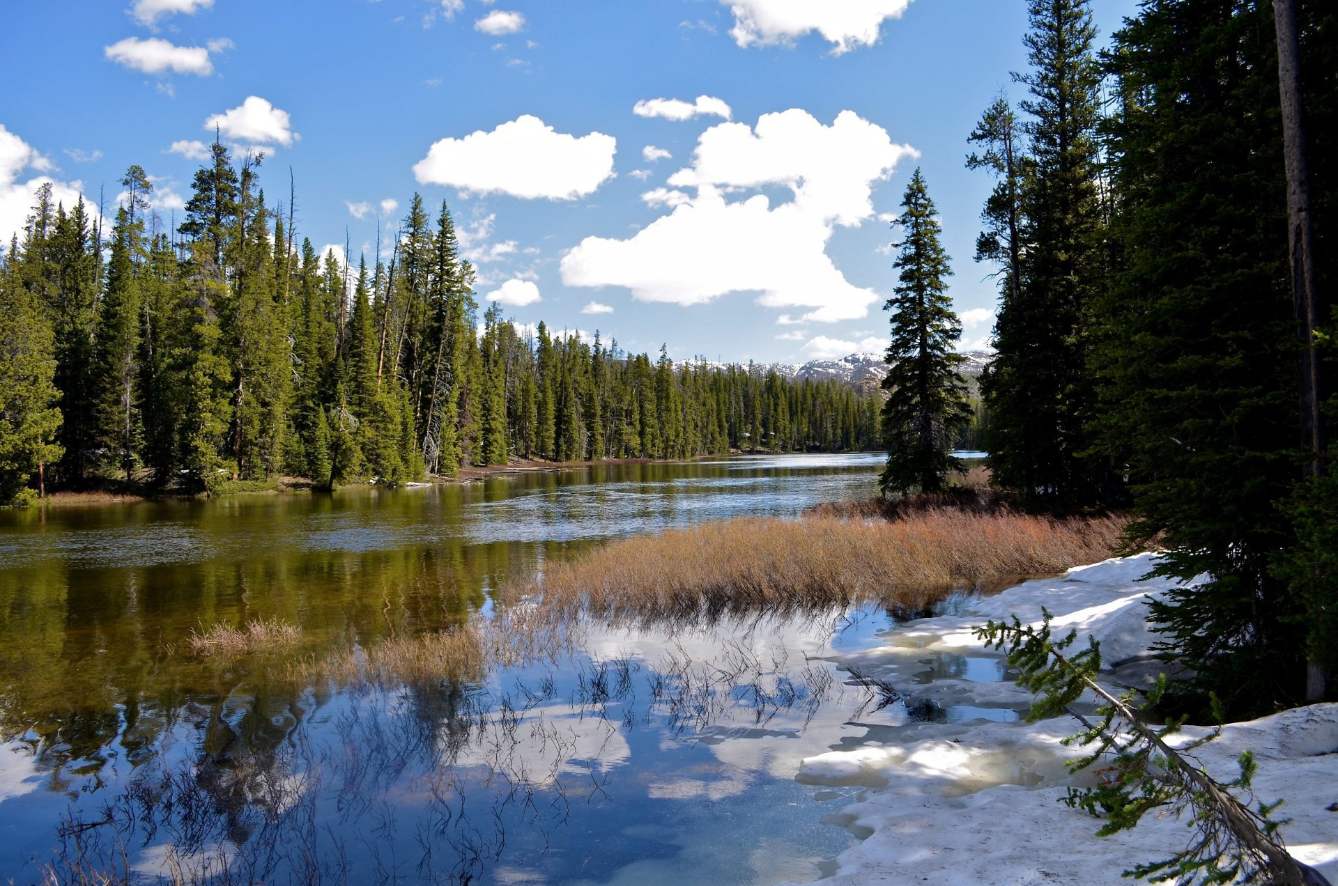 Download Nature River HD Wallpaper | 2464x1632 | Wallpaper Abyss
