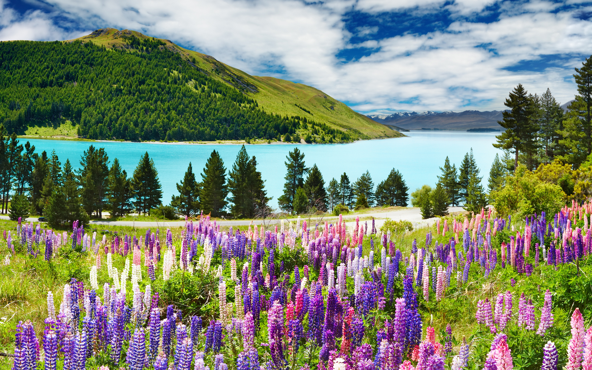 Download Nature River HD Wallpaper