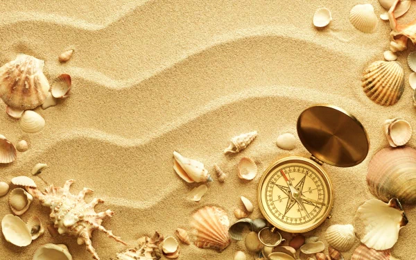 [80+] Shell 4k Wallpapers