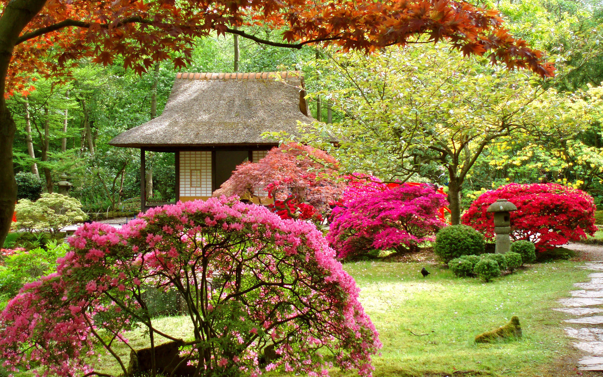 Serene Garden Escape: HD Wallpaper of Man-Made Beauty