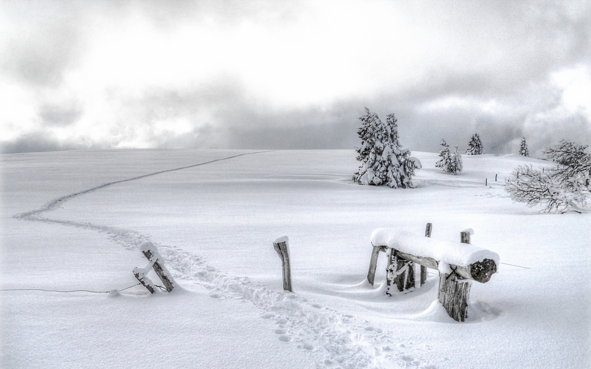 Download Photography Winter HD Wallpaper