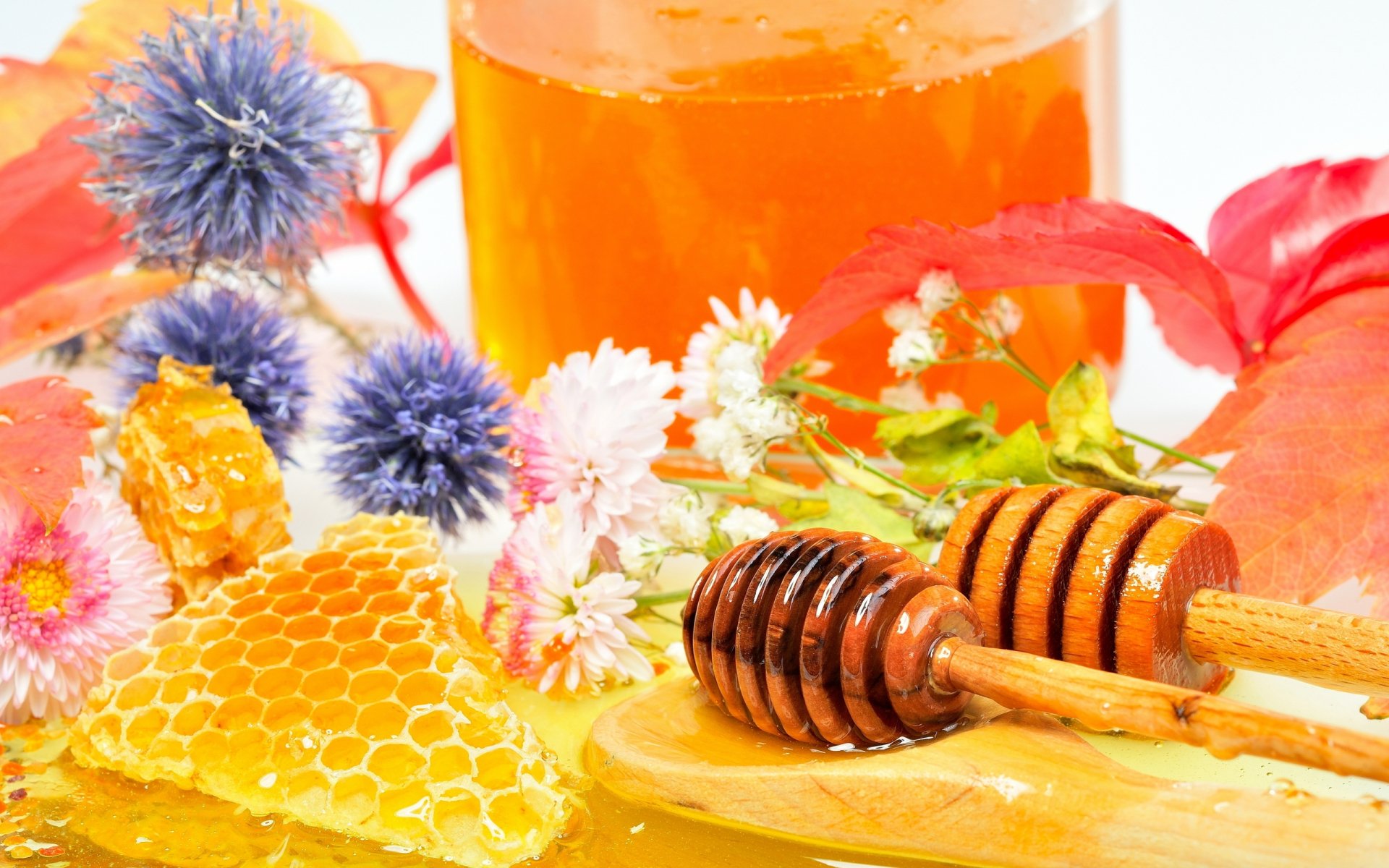Sweet Harmony: HD Honey Delight with Flowers and Honeycomb