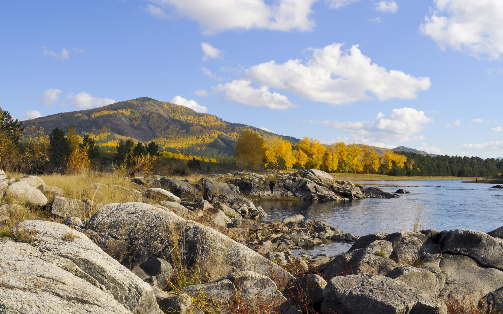 Download Nature Fall Wallpaper
