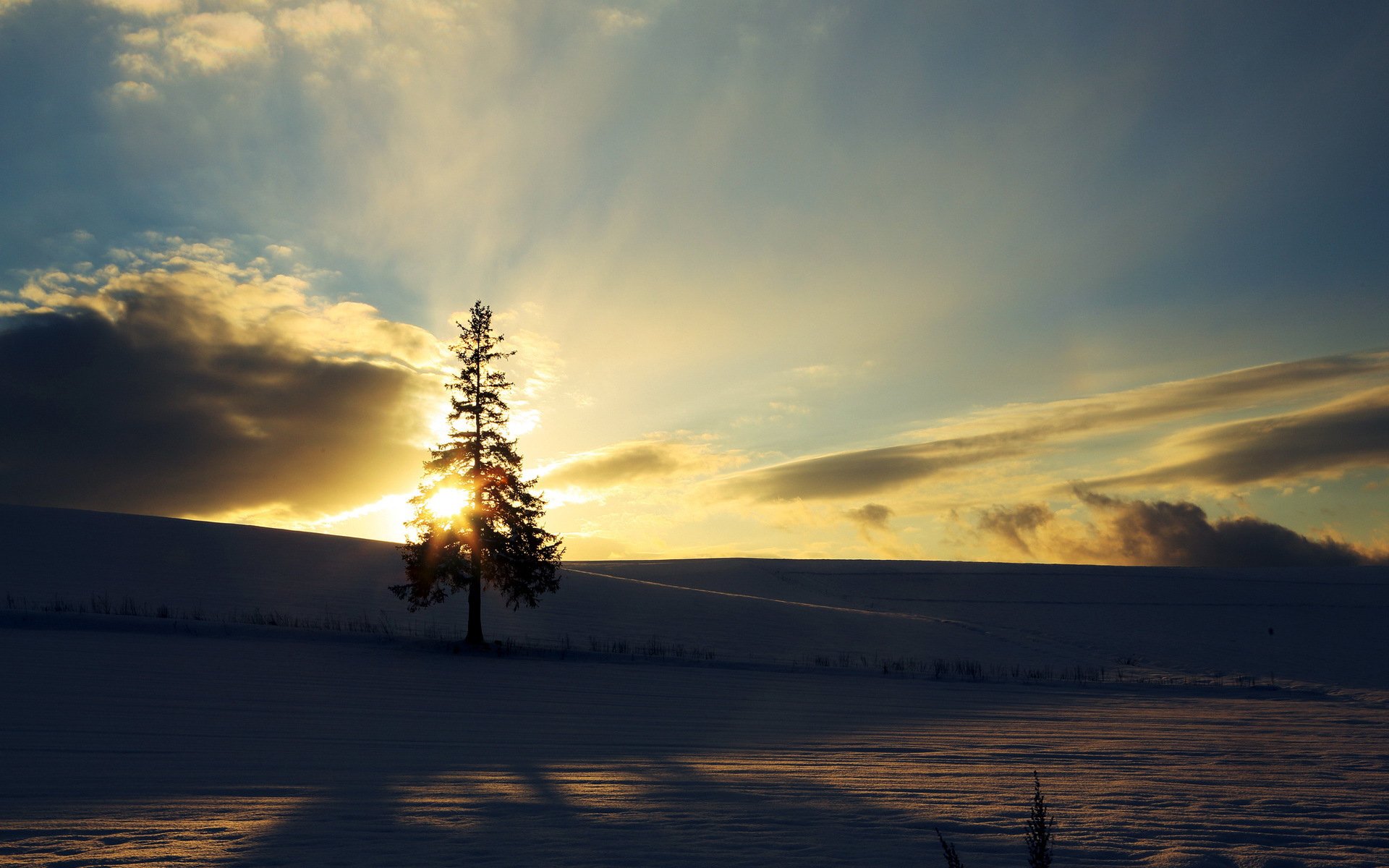 Download Nature Sunbeam HD Wallpaper | 1920x1200 | Wallpaper Abyss