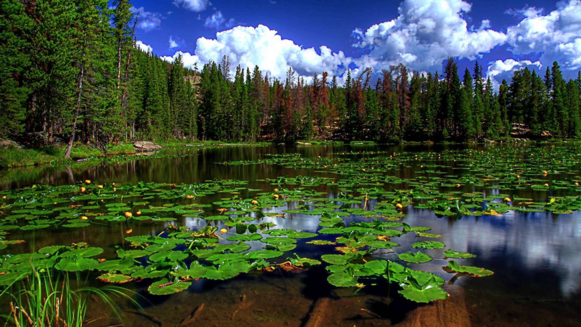 Download Nature Lake HD Wallpaper