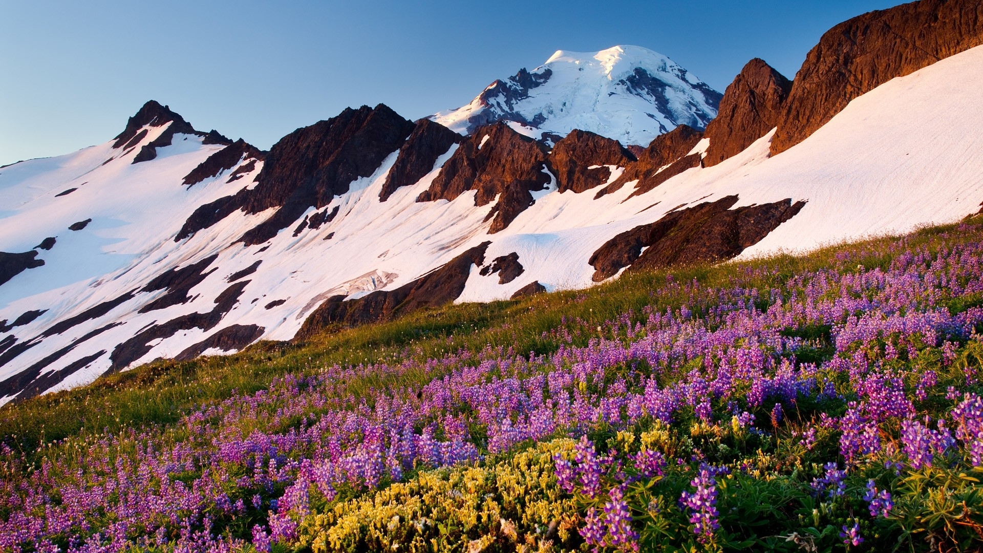 Download Nature Landscape HD Wallpaper