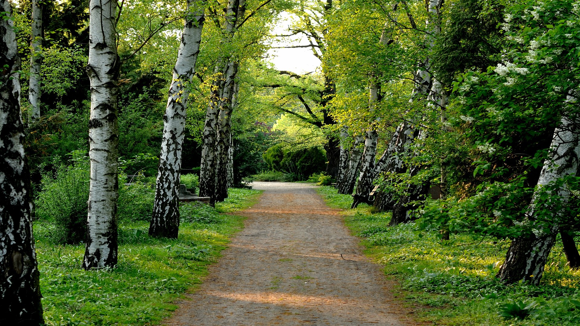Download Man Made Path HD Wallpaper | 1920x1080 | Wallpaper Abyss