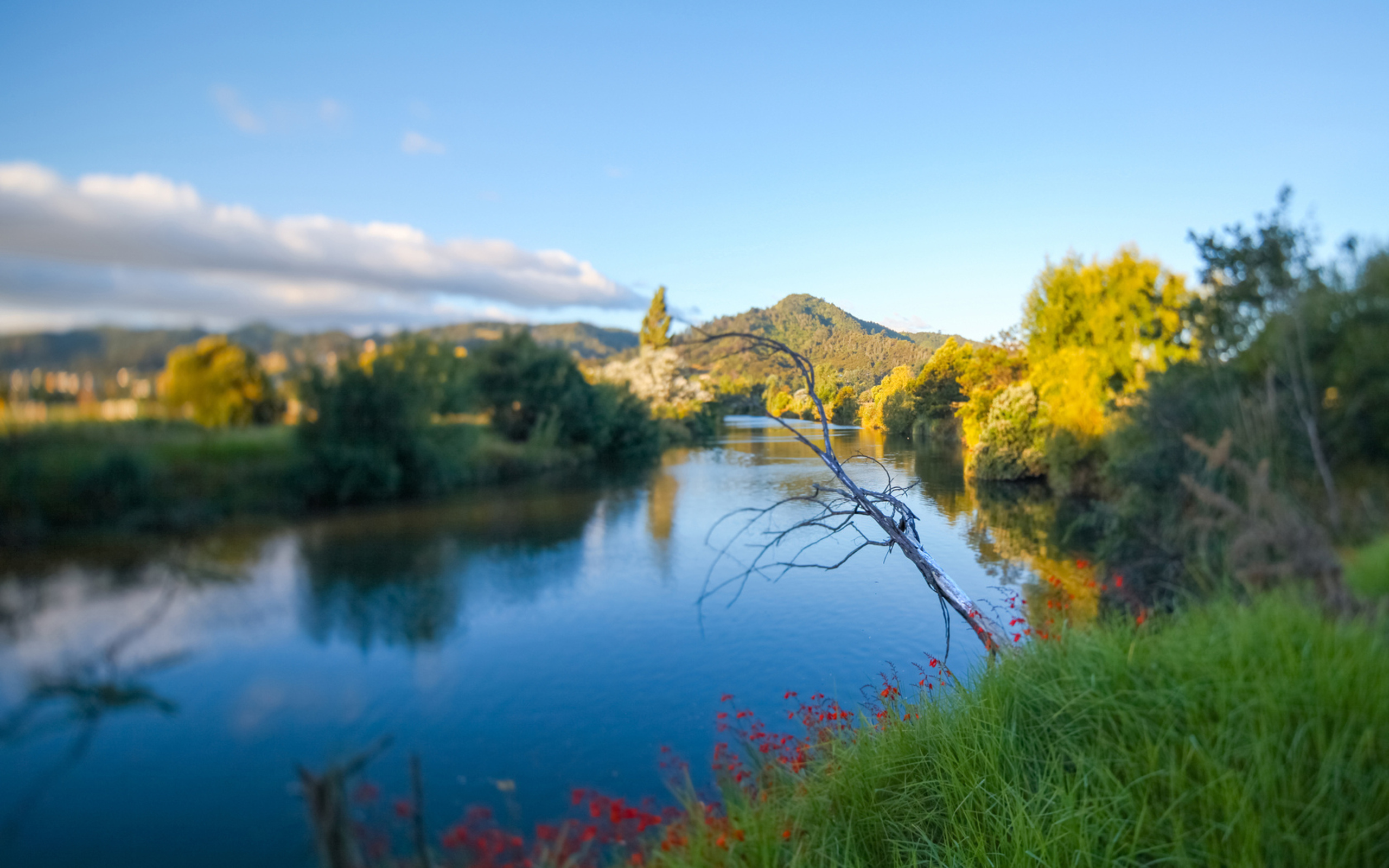 Download Nature River HD Wallpaper