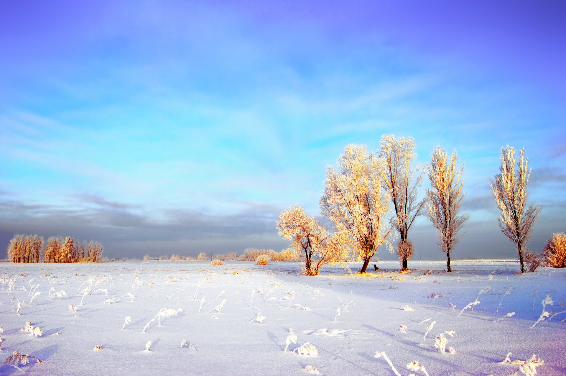 Winter HD Wallpaper