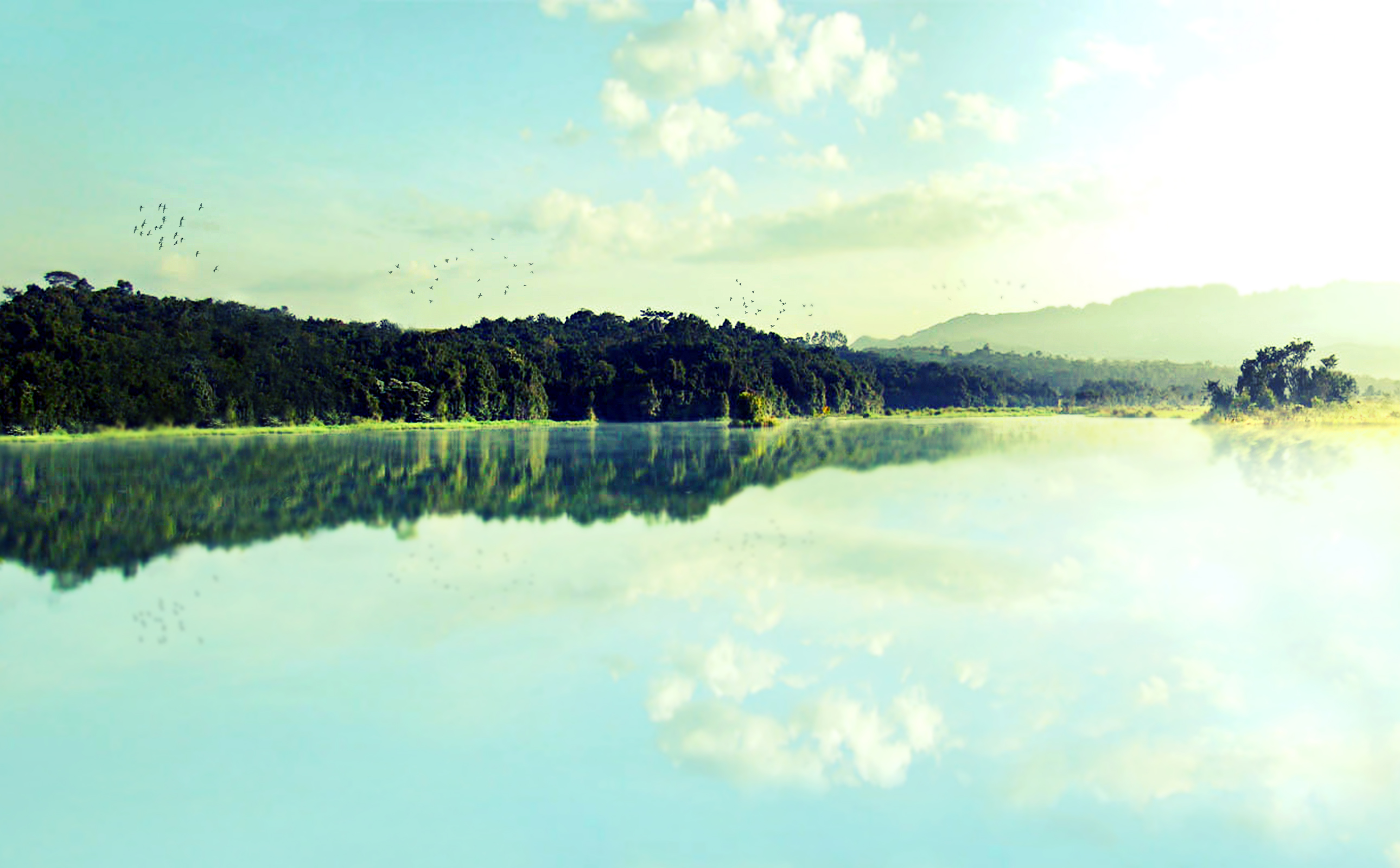 Nature Reflection HD Wallpaper