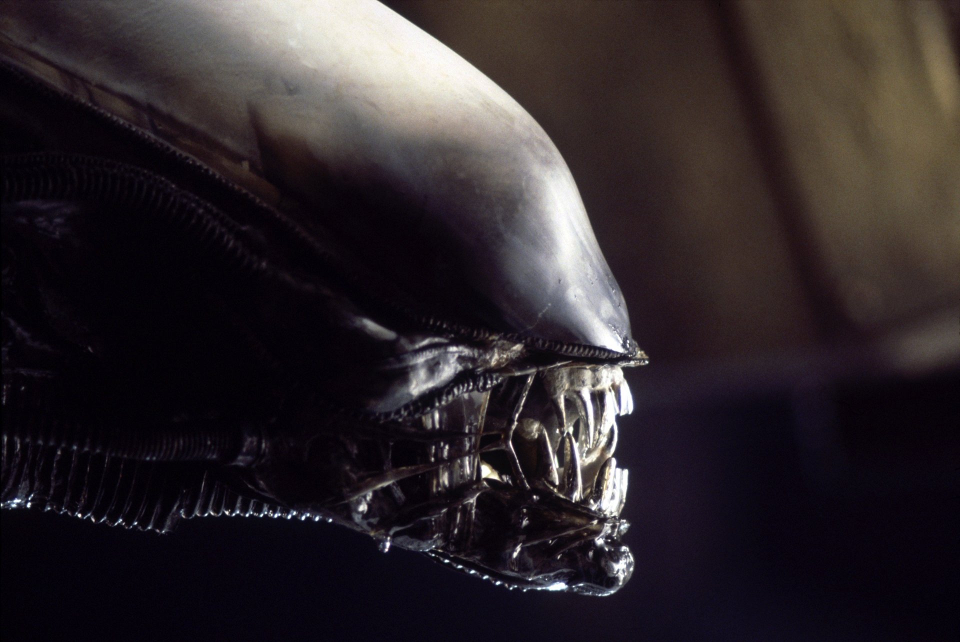 Download Movie Alien 4k Ultra HD Wallpaper