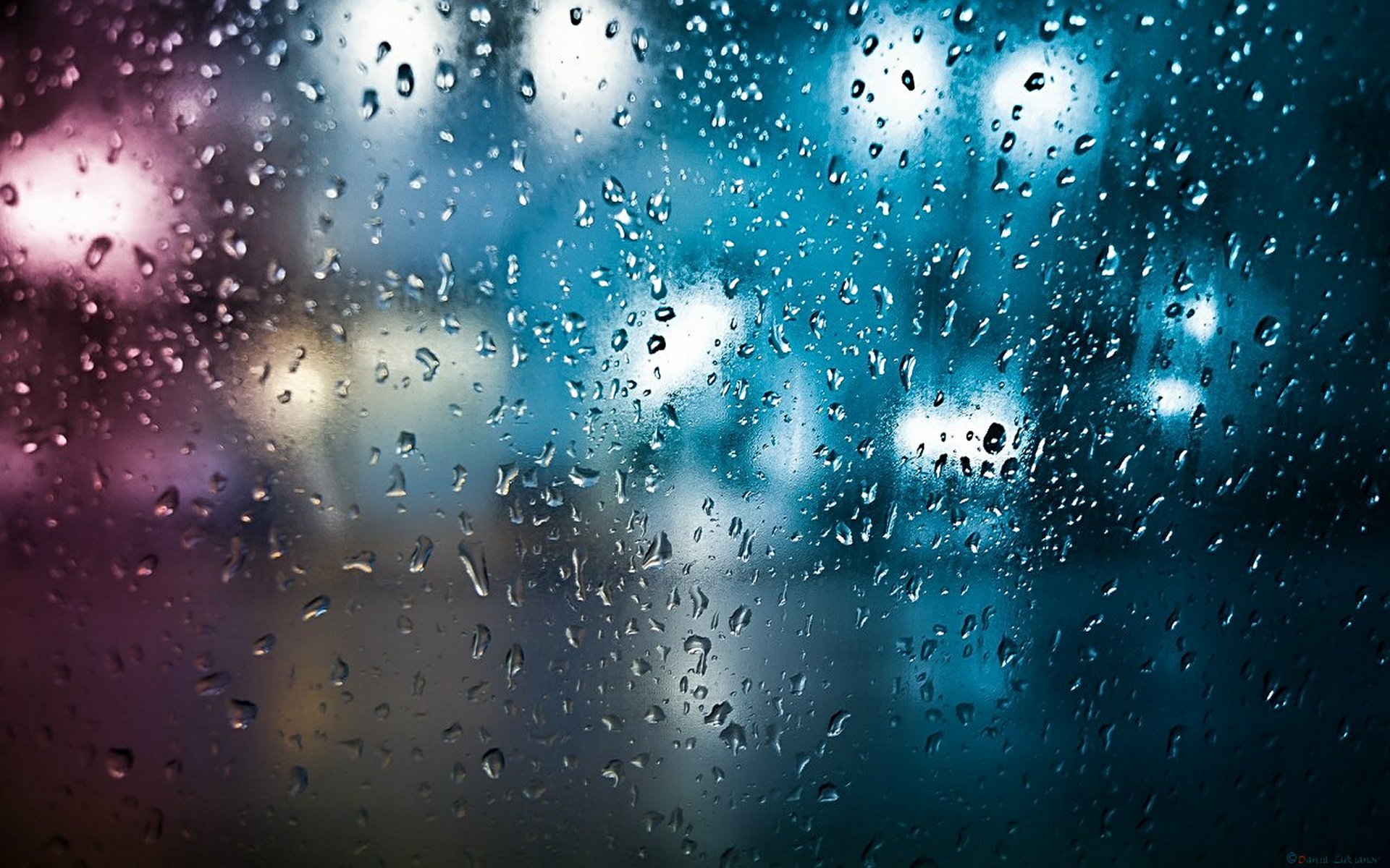 Download Nature Water Drop HD Wallpaper