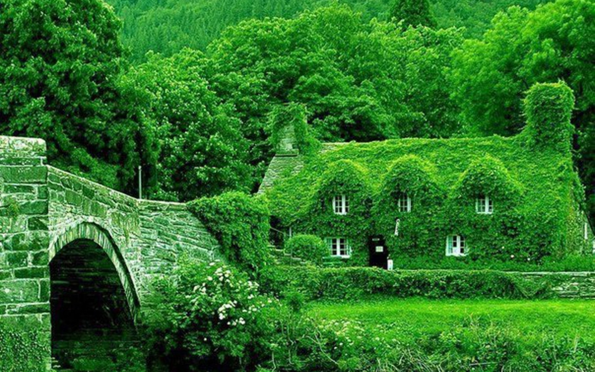 Charming Green Haven: HD Wallpaper of a Man-Made Building