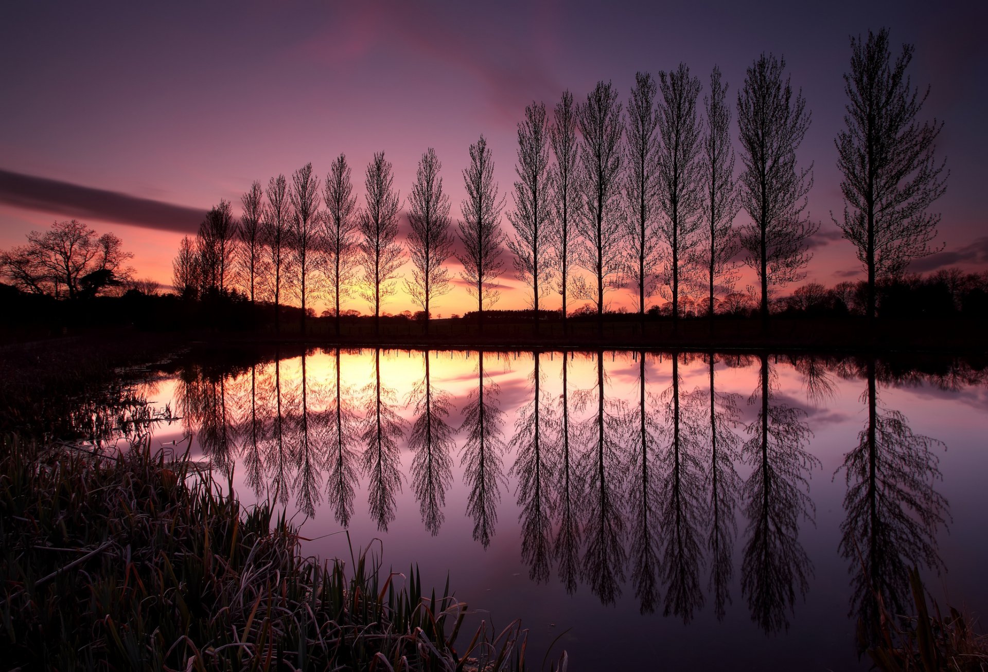 Serene Nature Reflection: Stunning HD Sunset Silhouettes