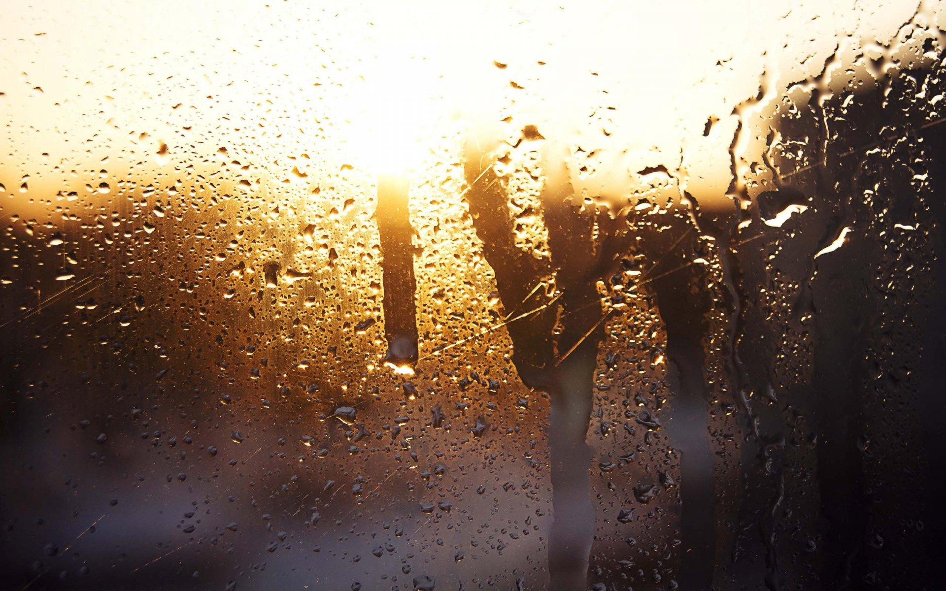 Sunset Raindrops: Stunning HD Photography Wallpaper
