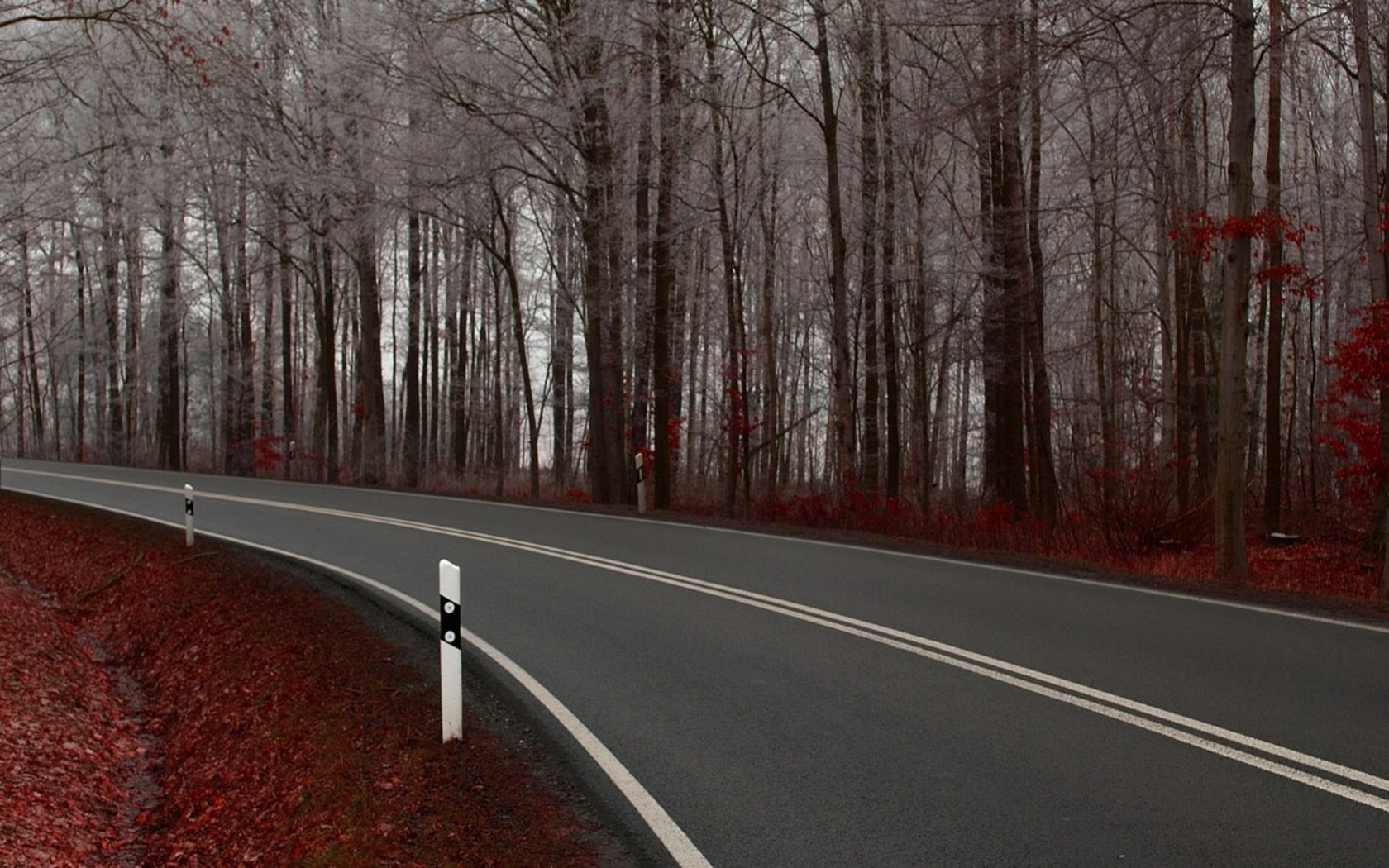 Download Man Made Road Wallpaper | 1680x1050 | Wallpaper Abyss