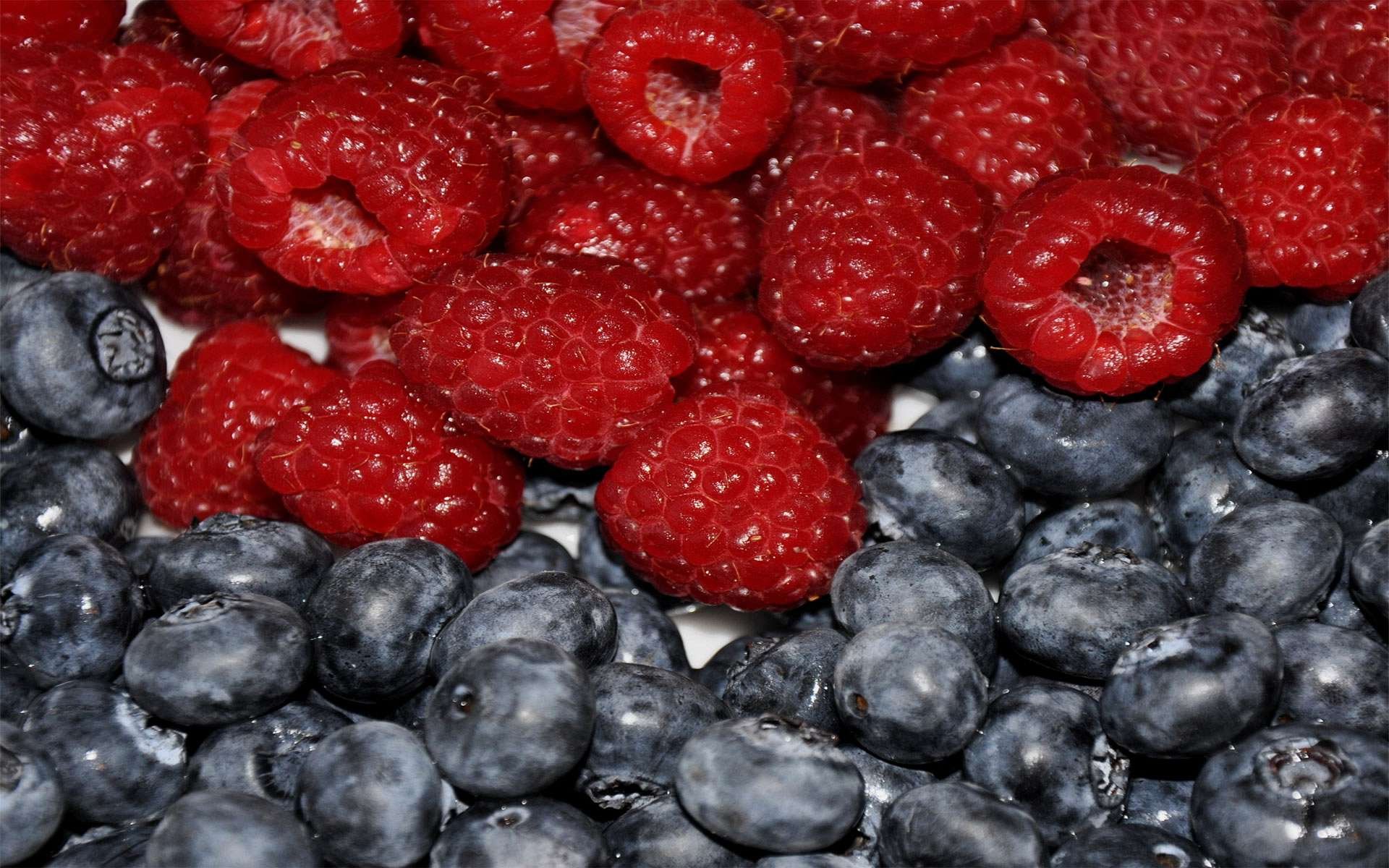 Berry HD Wallpaper