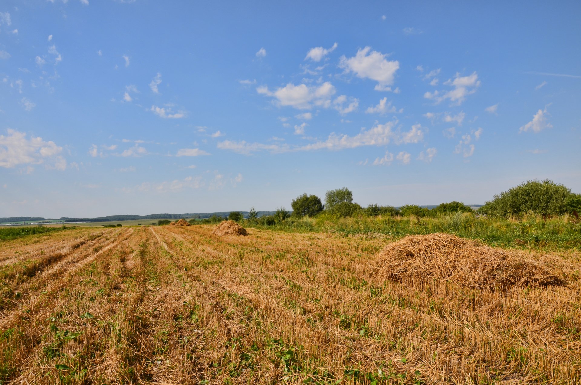 Download Nature Field 4k Ultra HD Wallpaper